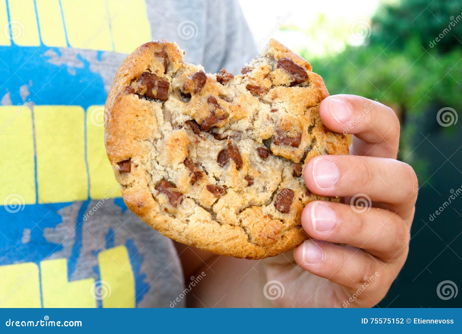Child Holding Chocolate Chip Cookie. Stock Photo - Image of bite ...