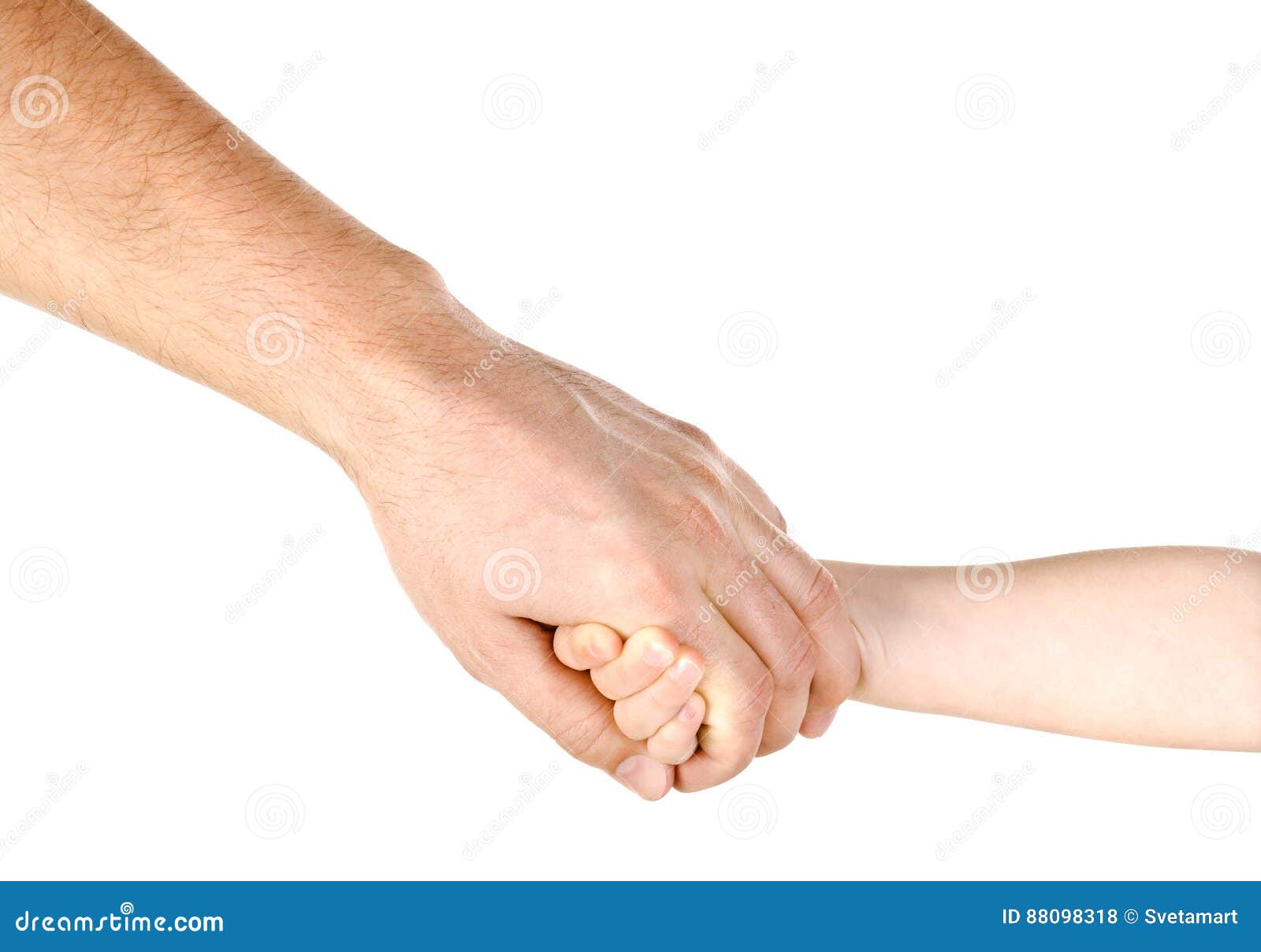 Child Holding Father`s Hand Isolated Stock Photo - Image of body, trust ...