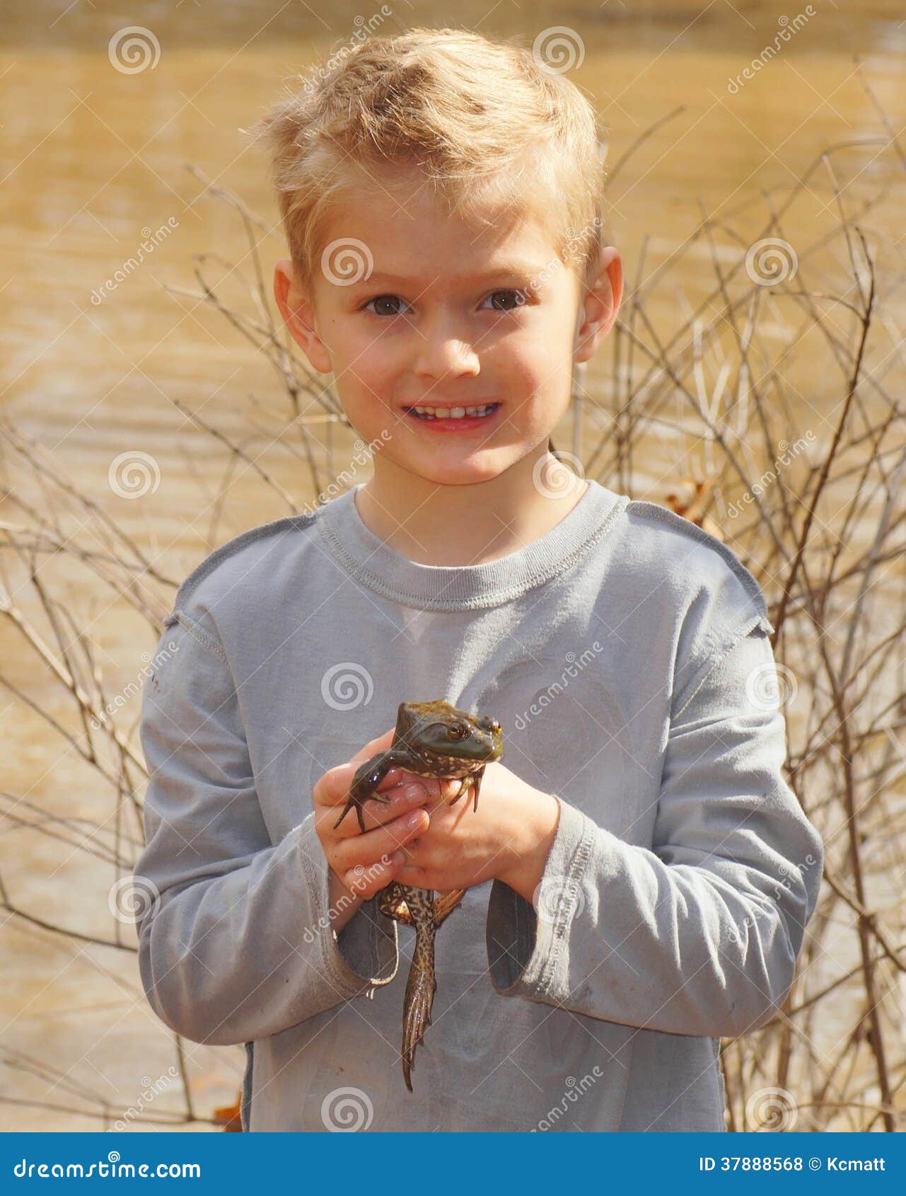 Child Holding a Large Bullfrog Stock Photo - Image of reptile, insect ...