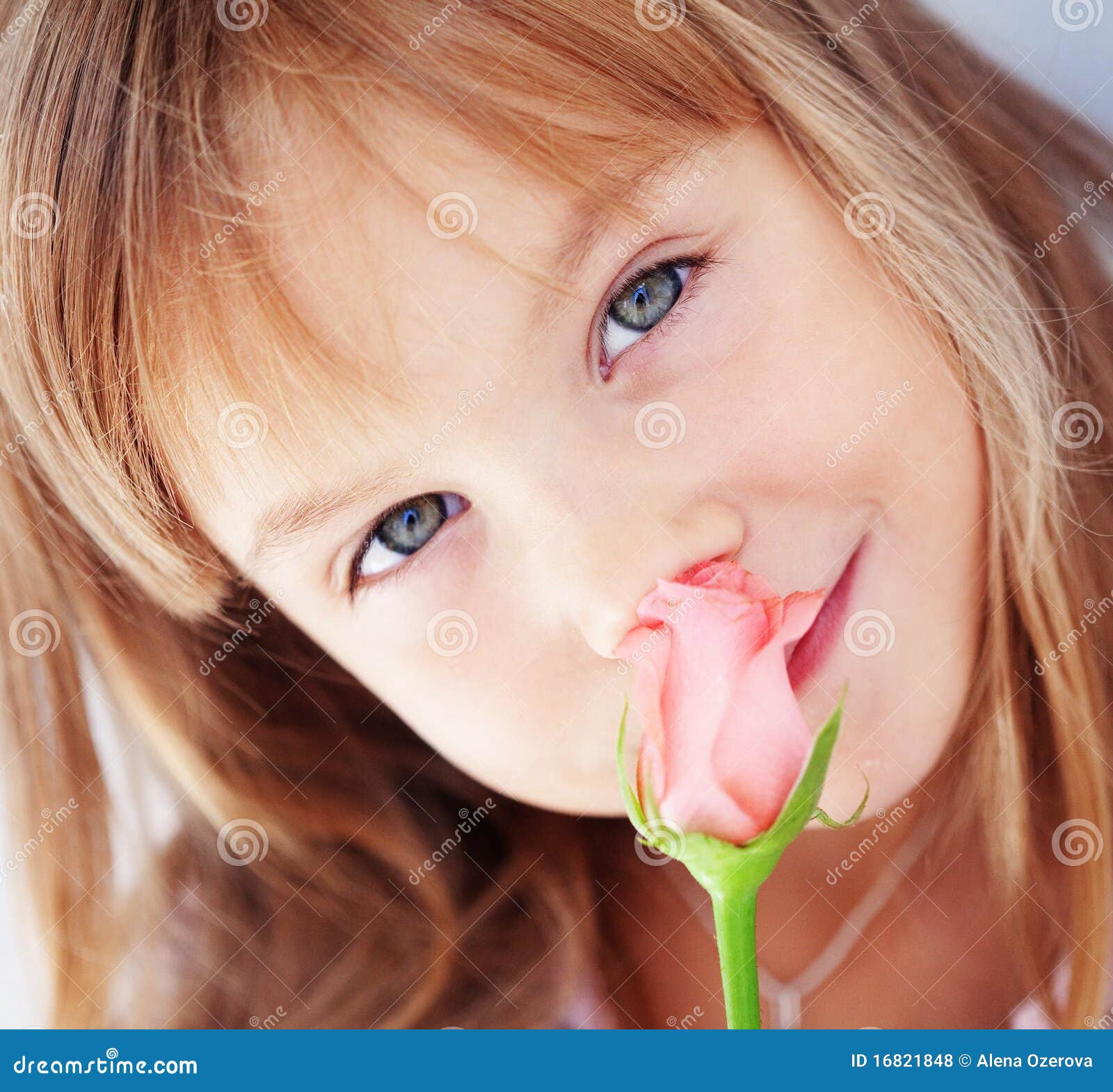 Child holding rose stock photo. Image of girl, enjoyment - 16821848