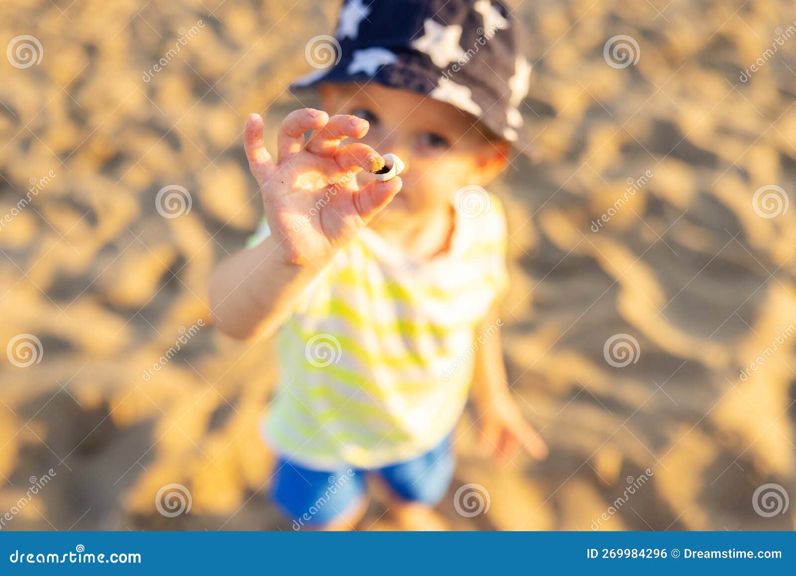 Child Holding Sea Shell on the Beach by the Sea Stock Photo - Image of ...