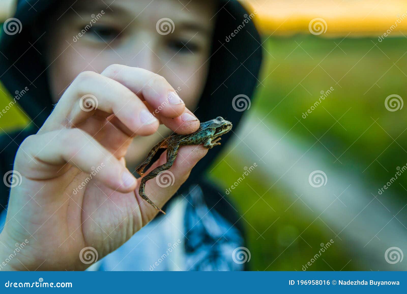 The Child is Holding a Small Frog in His Hands Stock Photo - Image of ...