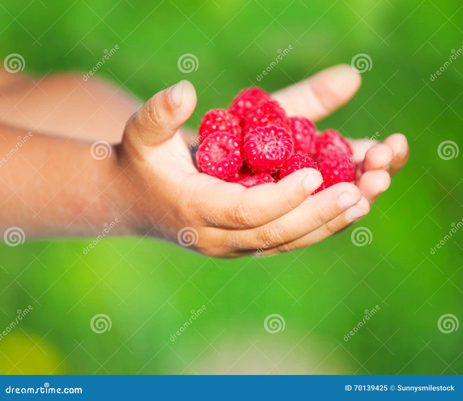 Child Holding Tasty Raspberry Stock Image - Image of giving, people ...