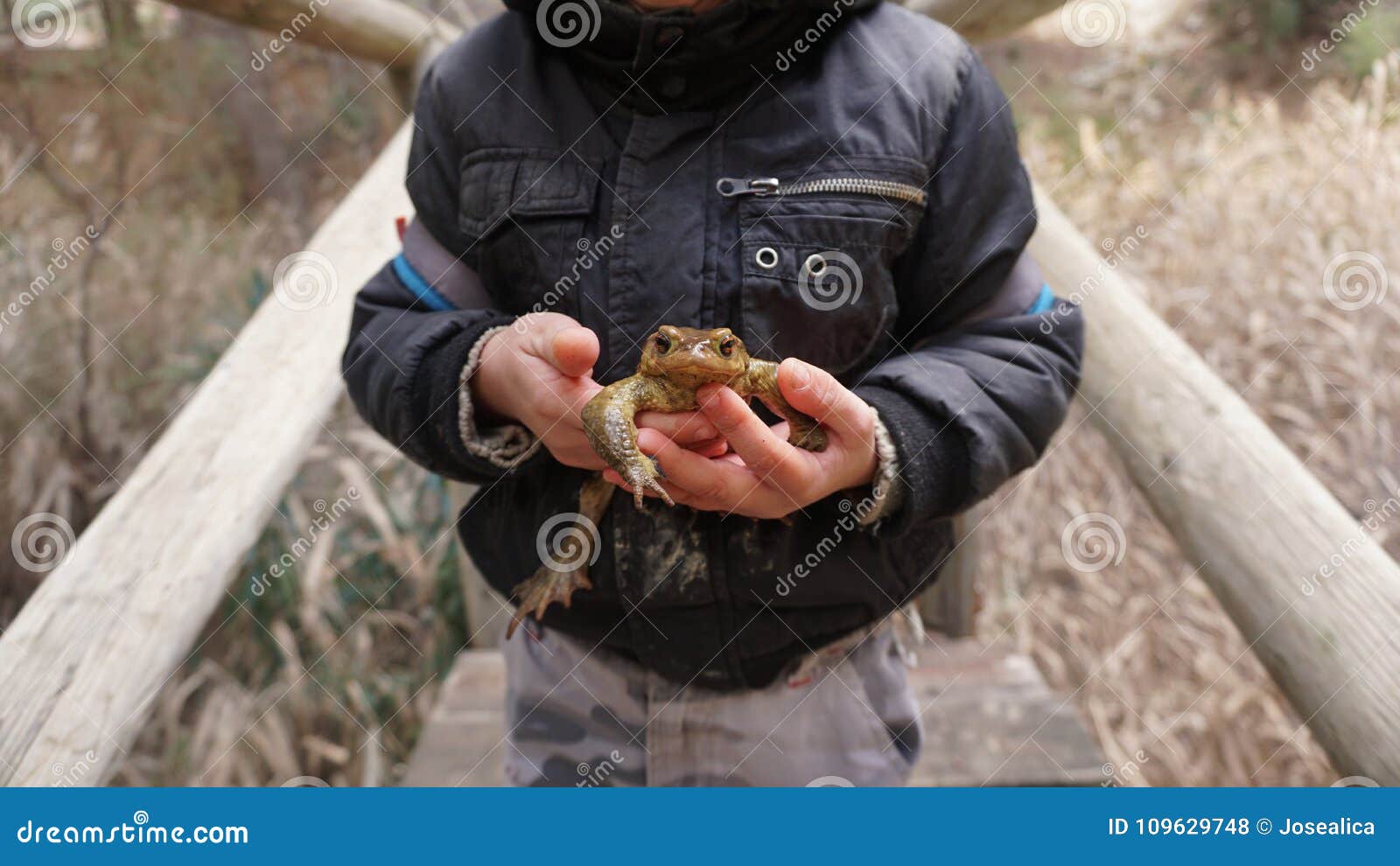 Child holding a toad stock photo. Image of river, large - 109629748