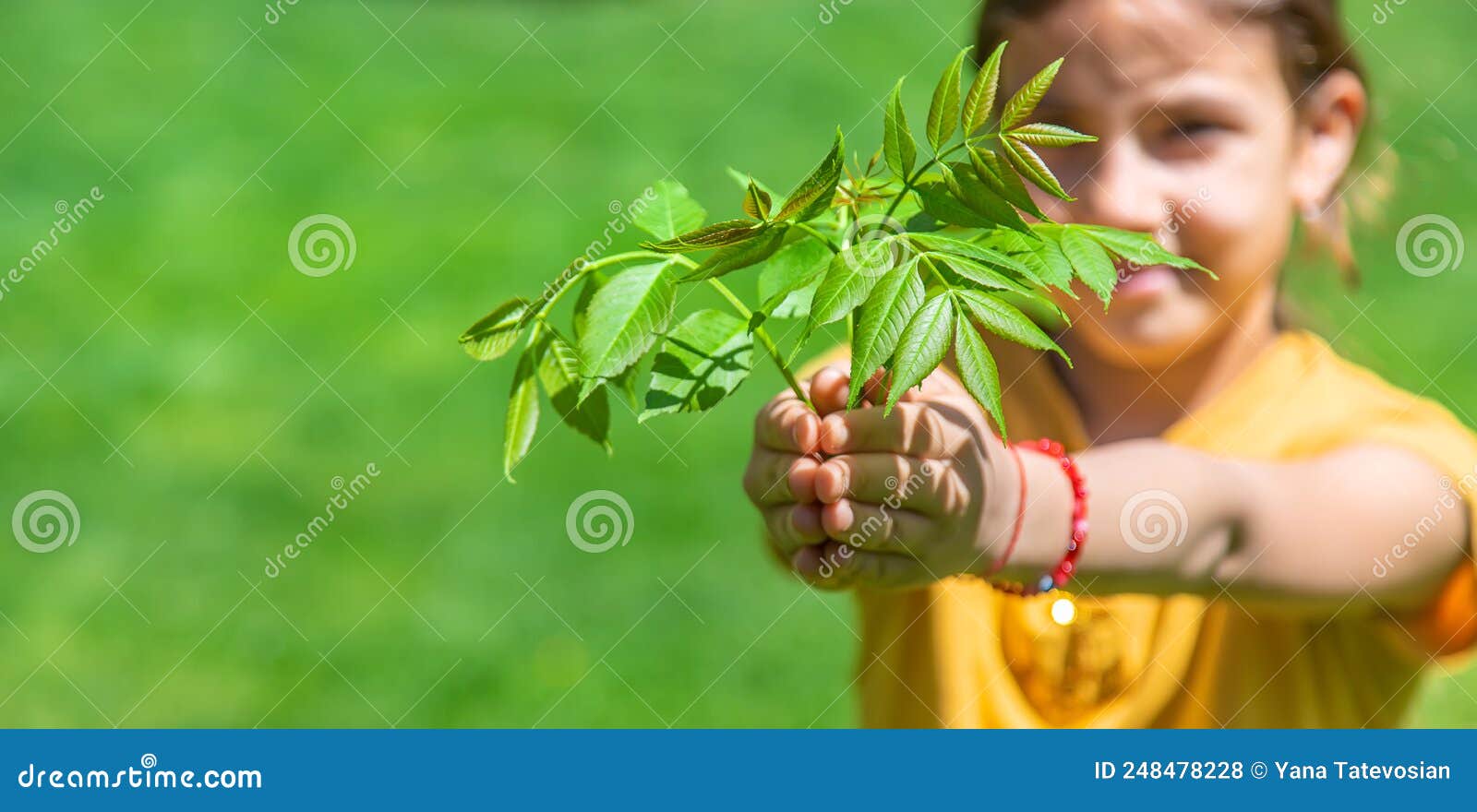 The Child is Holding a Tree in His Hands. Selective Focus Stock Photo ...