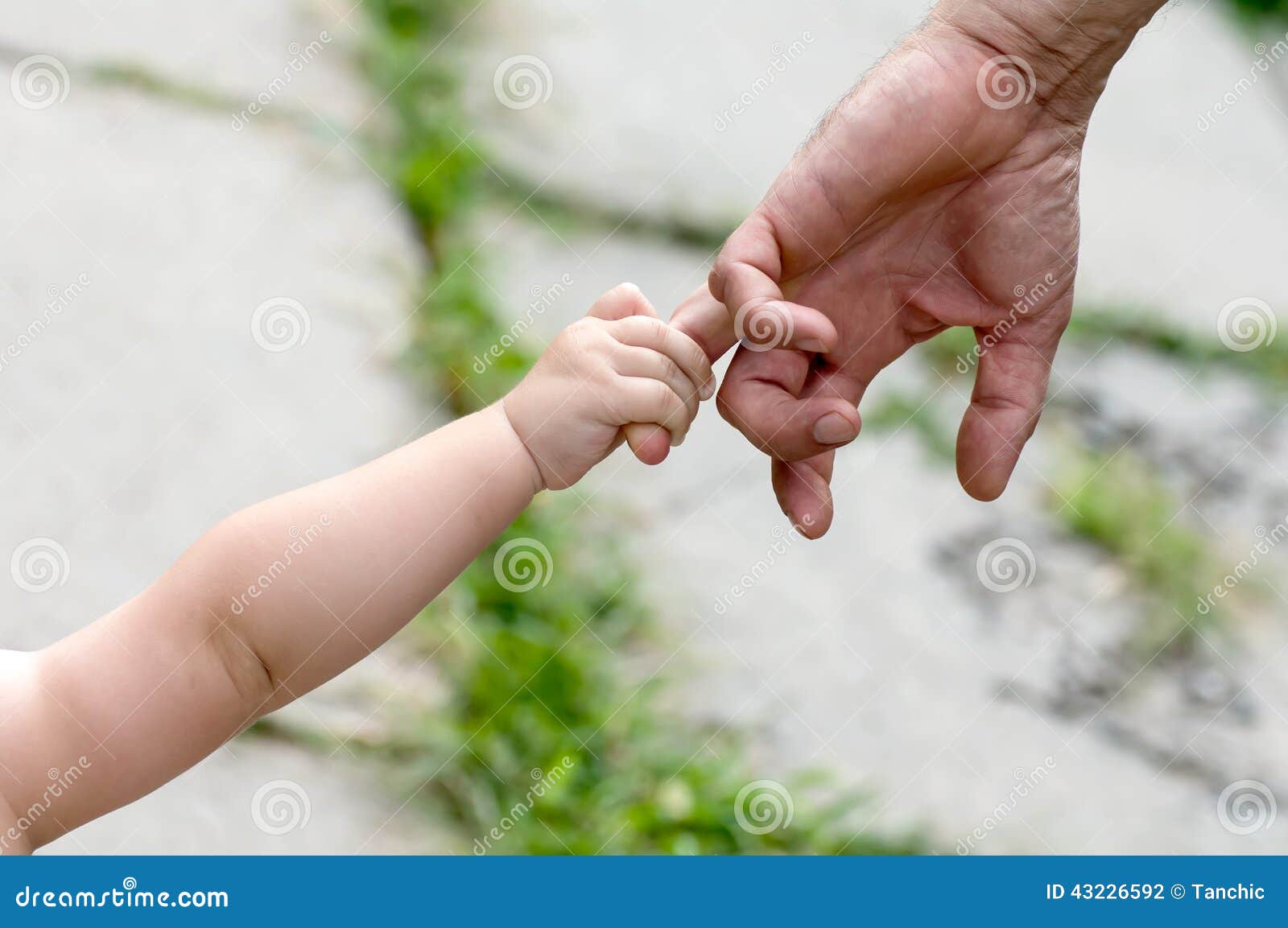 Child Holds the Finger of a Hand Stock Photo - Image of hands, trust ...
