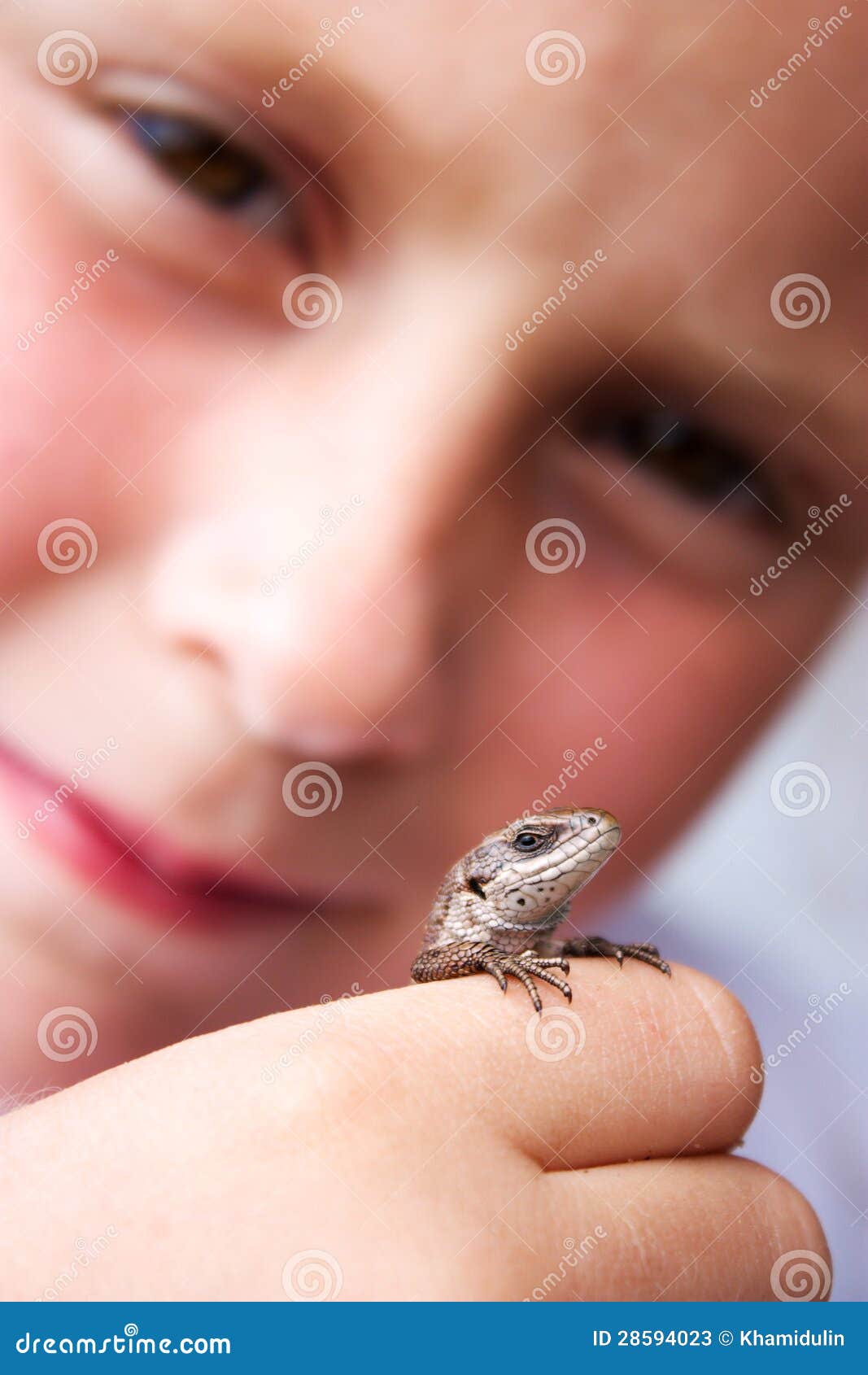 Child Holds a Lizard in His Hand. Stock Image - Image of looking ...