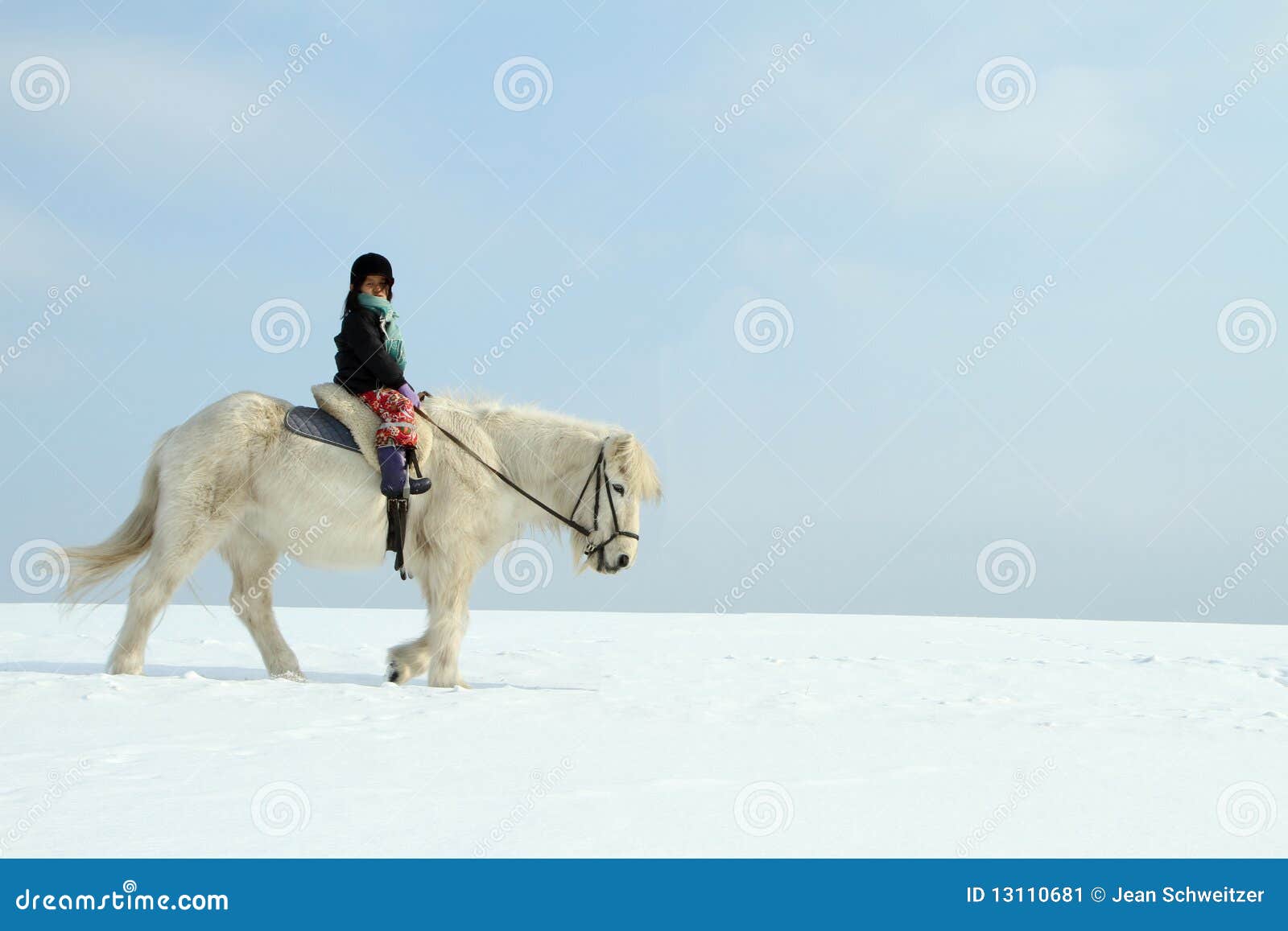 Child on horse stock image. Image of snow, equine, scandinavia - 13110681