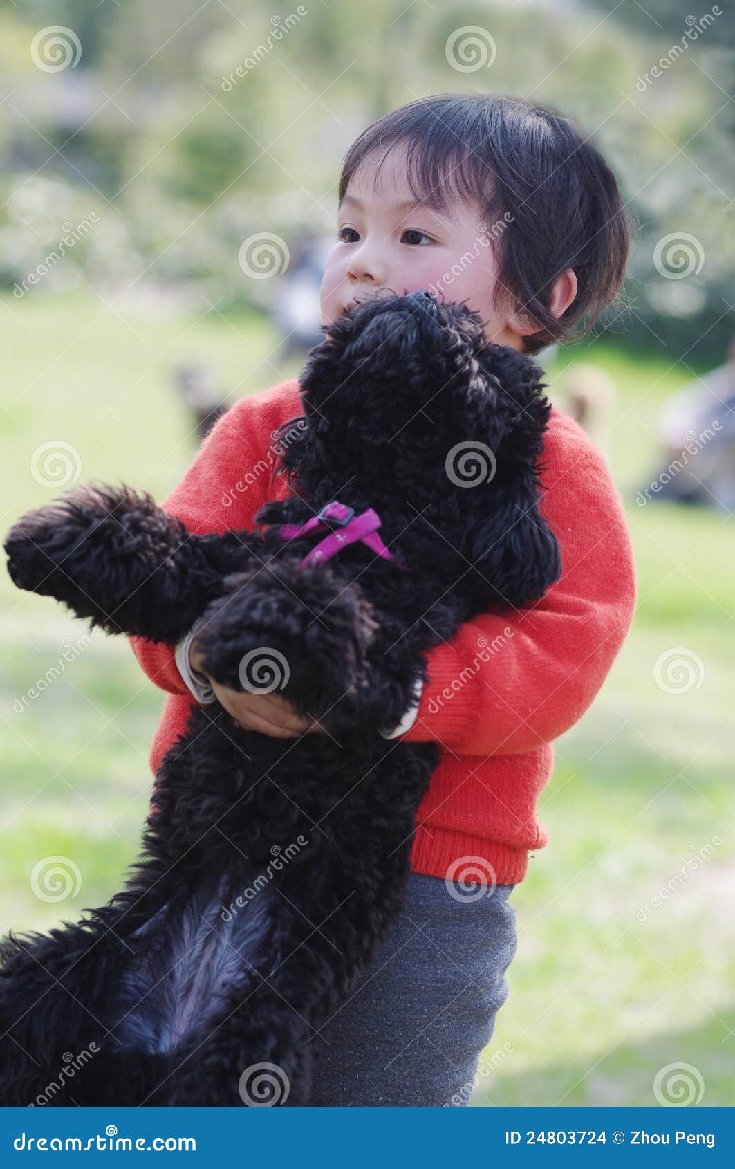 Child Hug Poodle Stock Photo | CartoonDealer.com #24803724