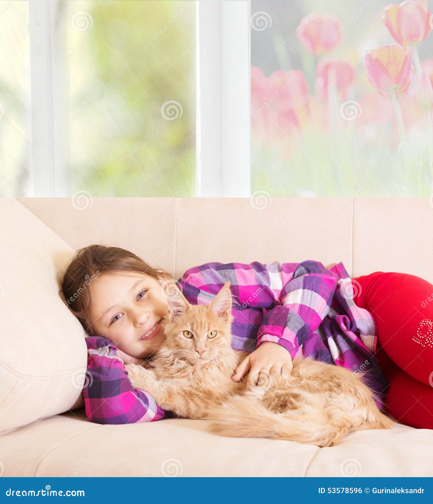 Child hugging cat stock photo. Image of happiness, happy - 53578596