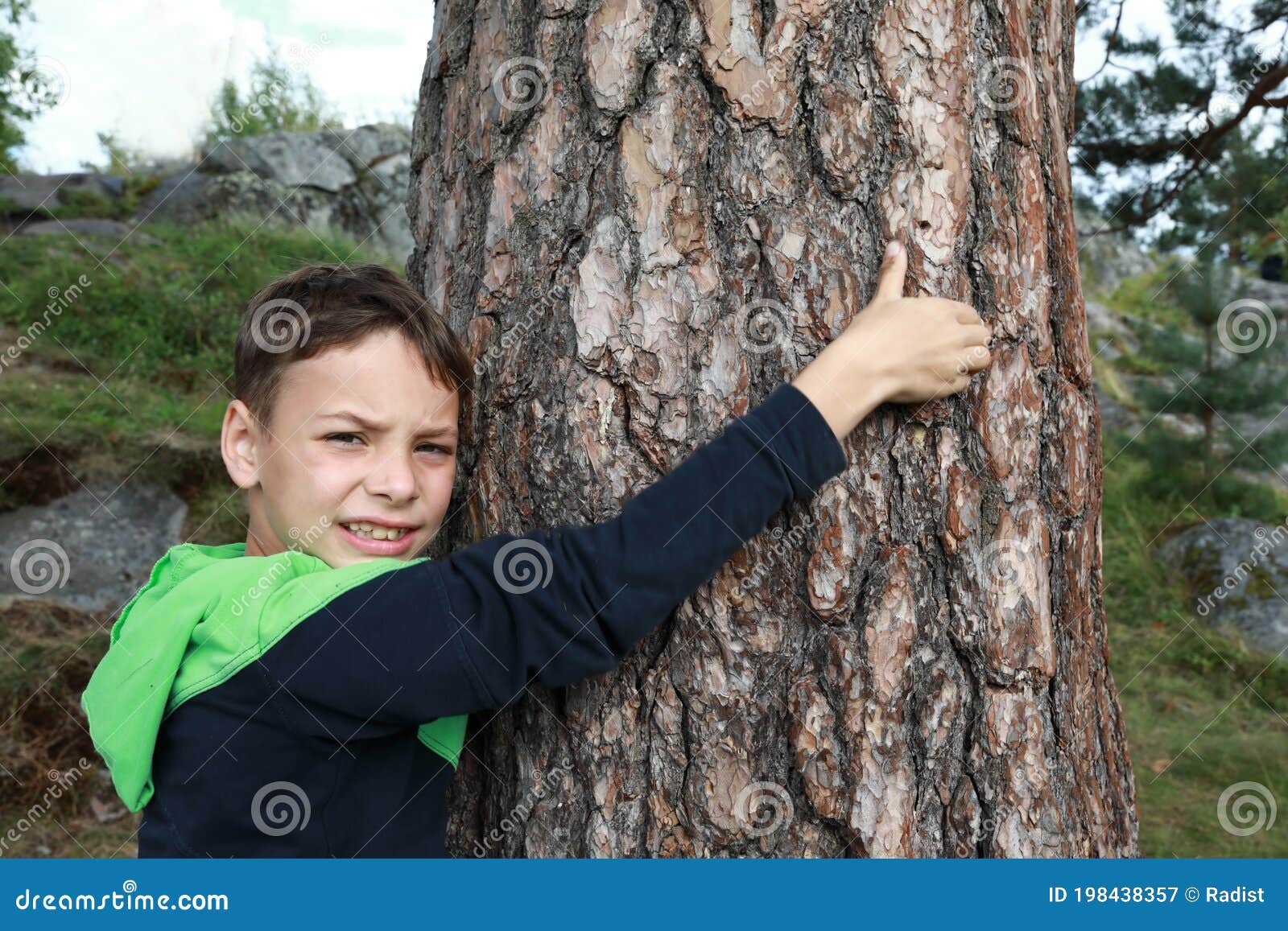 Child hugging pine tree stock image. Image of outdoor - 198438357