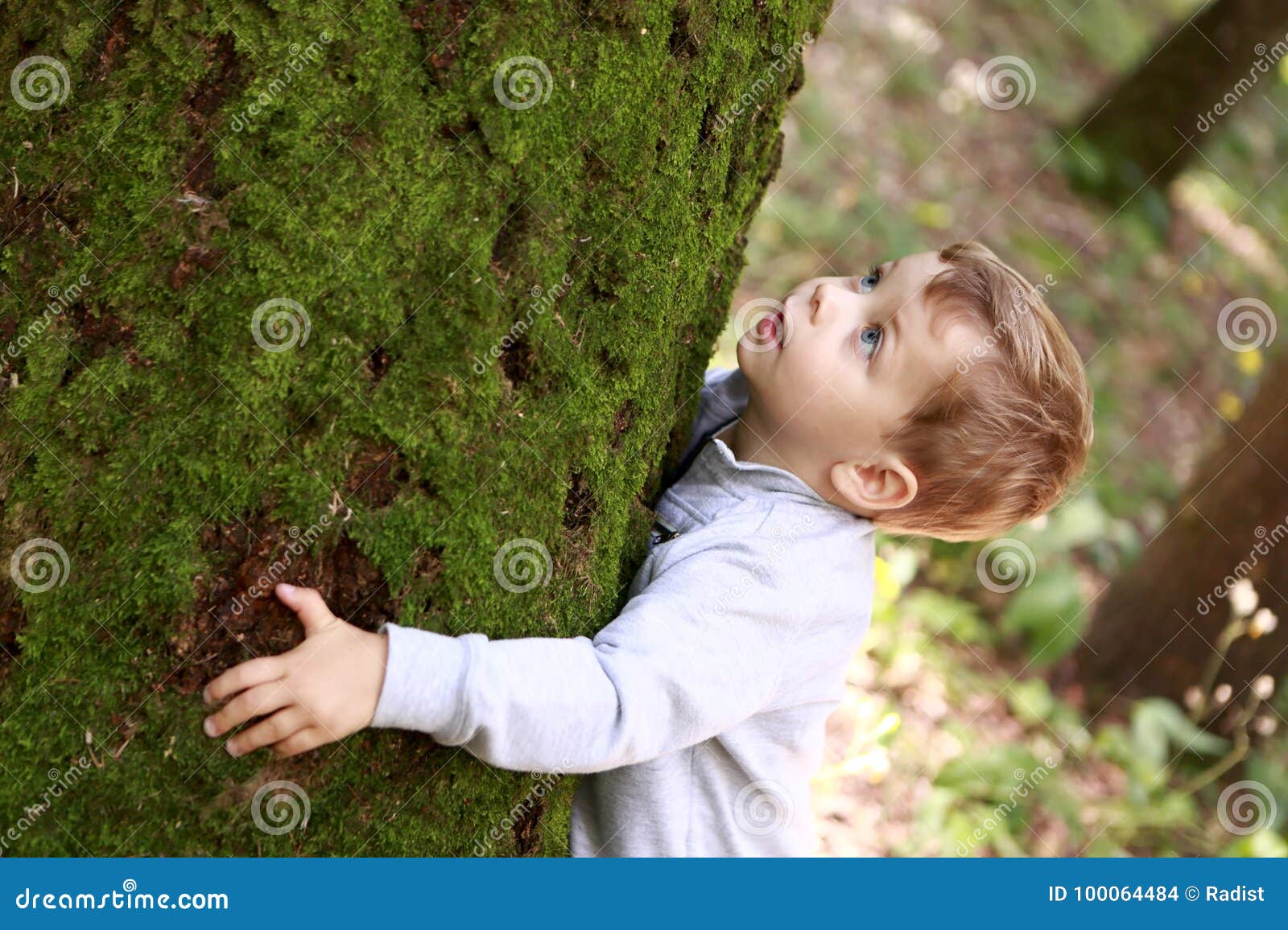 Child hugging tree stock photo. Image of green, outdoor - 100064484