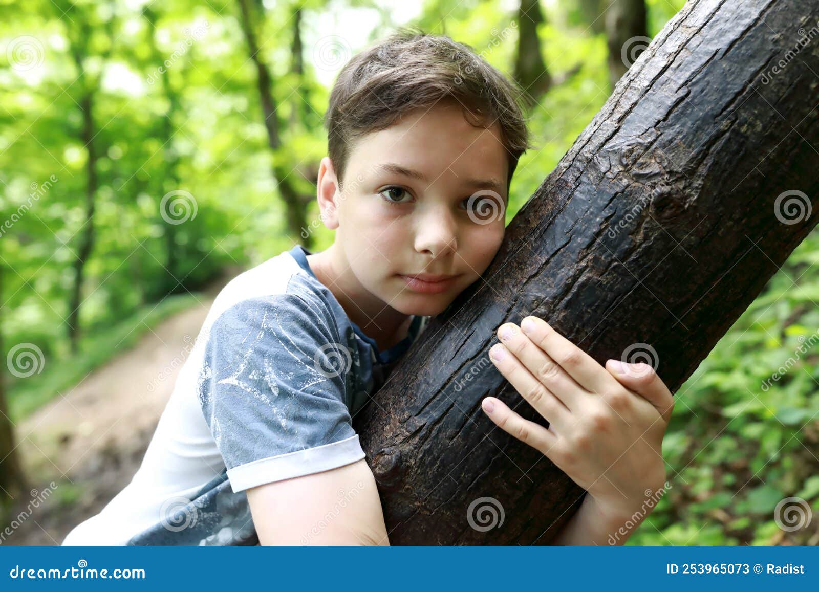 Child Hugging Tree Trunk in Forest Stock Image - Image of ecology, hand ...