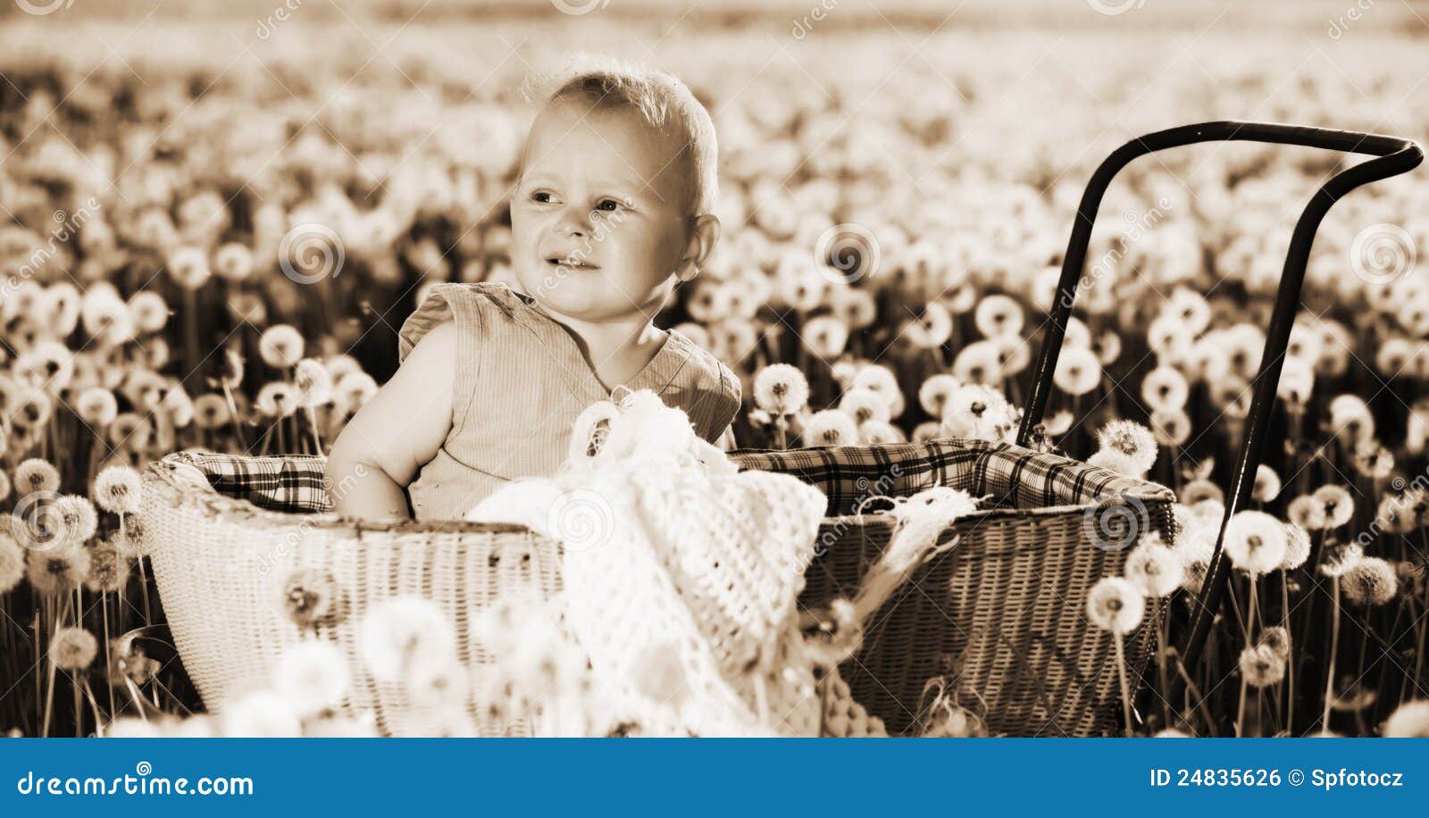 A Child Inside Pram in Meadow with Dandelions Stock Photo - Image of ...