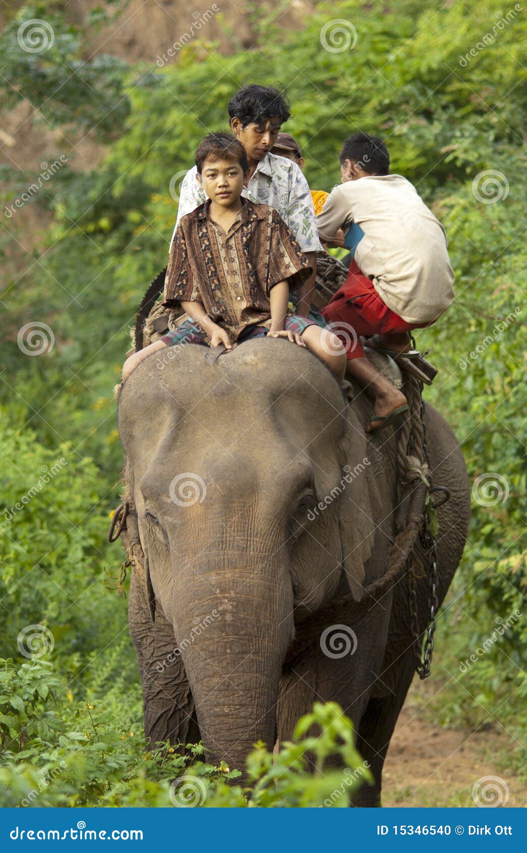 Child Laborer with Working Elephant Editorial Image - Image of crossing ...