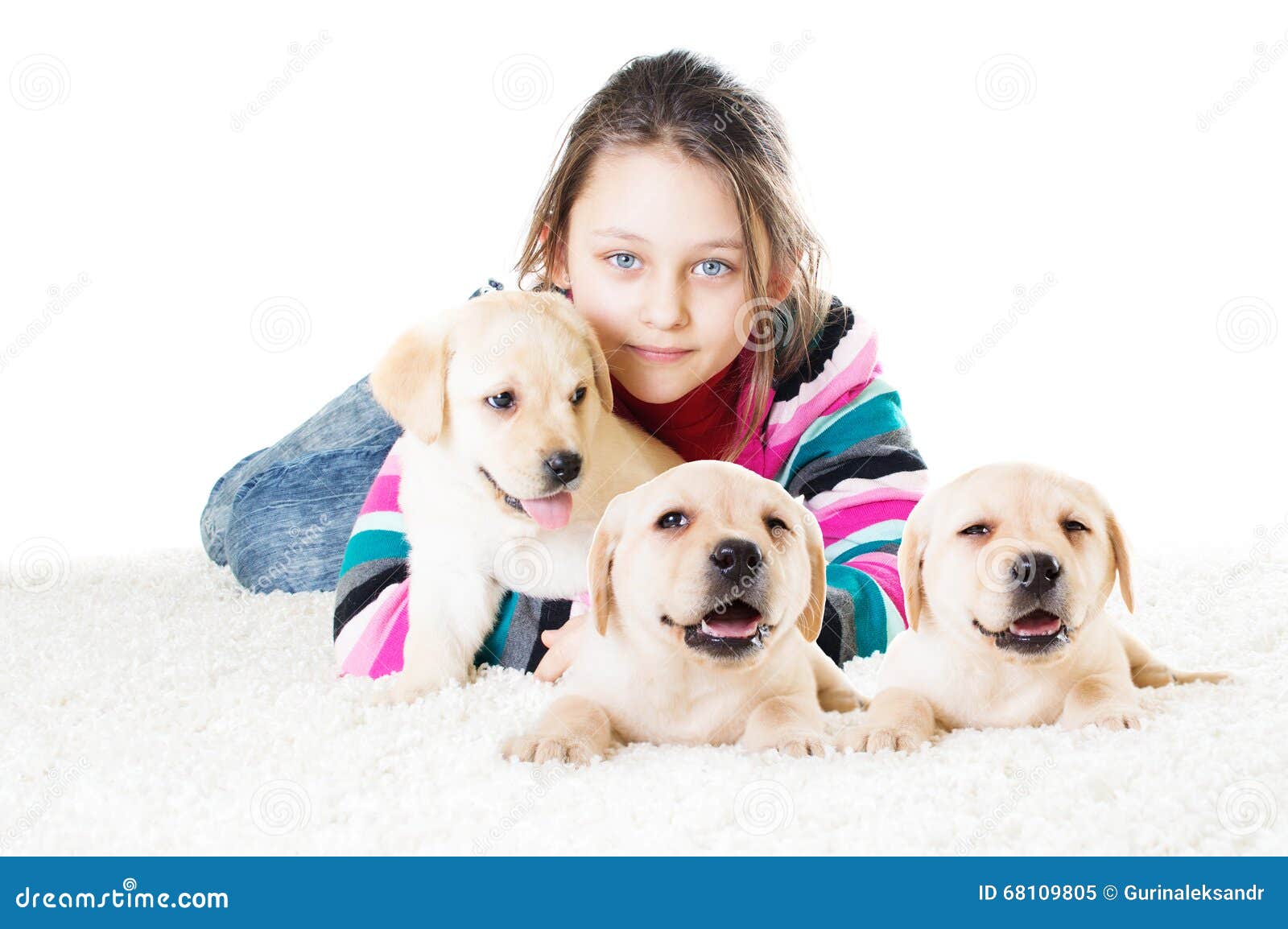 Child and labrador puppy stock image. Image of golden - 68109805