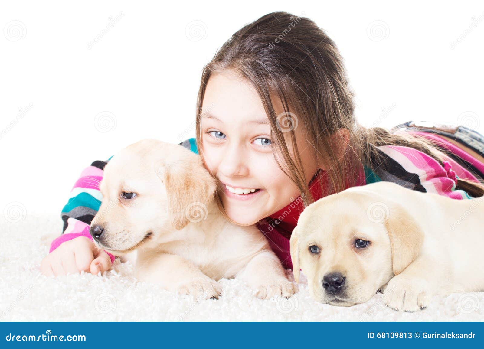 Child and labrador puppy stock image. Image of caucasian - 68109813