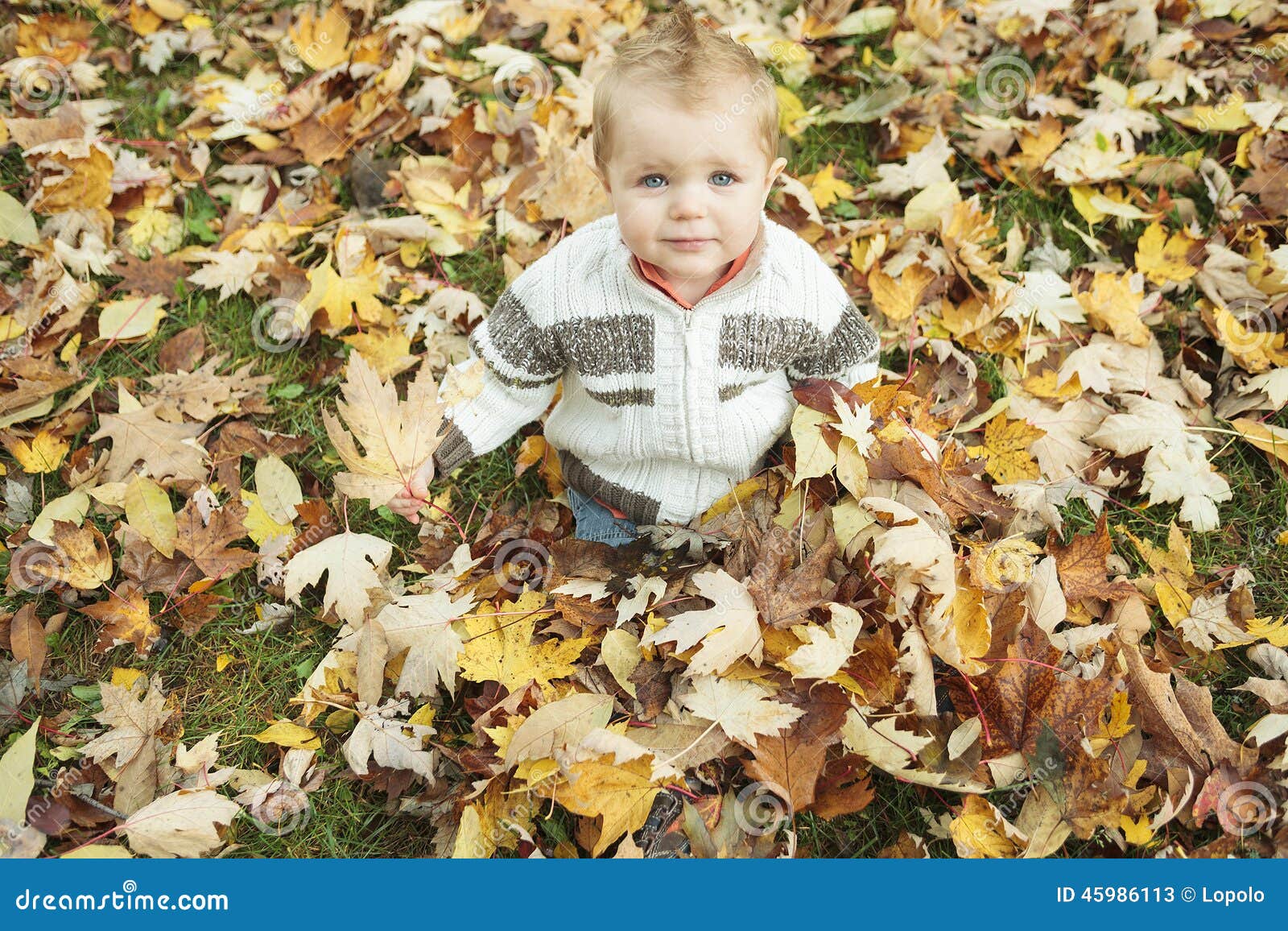 Child in leaf stock image. Image of leaf, lifestyle, child - 45986113