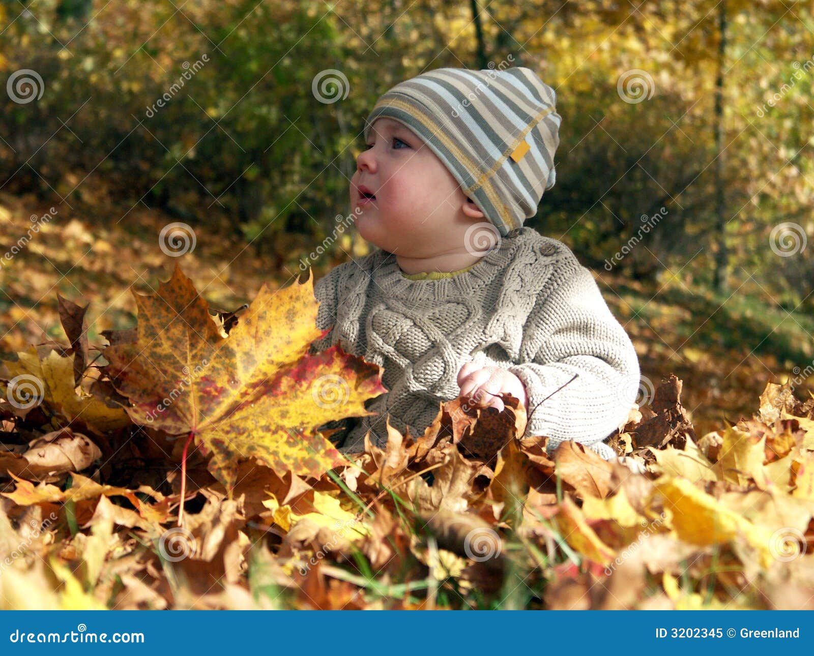 Child in the leaves stock image. Image of bright, kids - 3202345