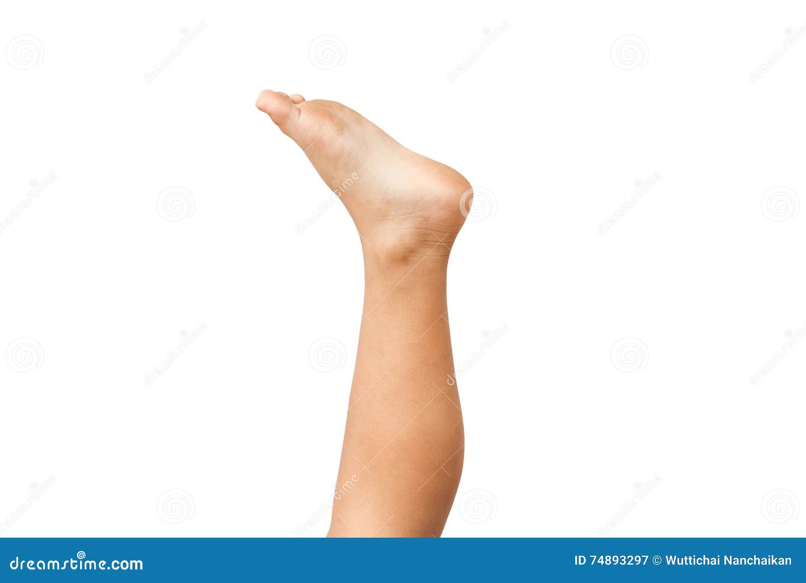 Child Leg Isolated on White Stock Image - Image of path, body: 74893297