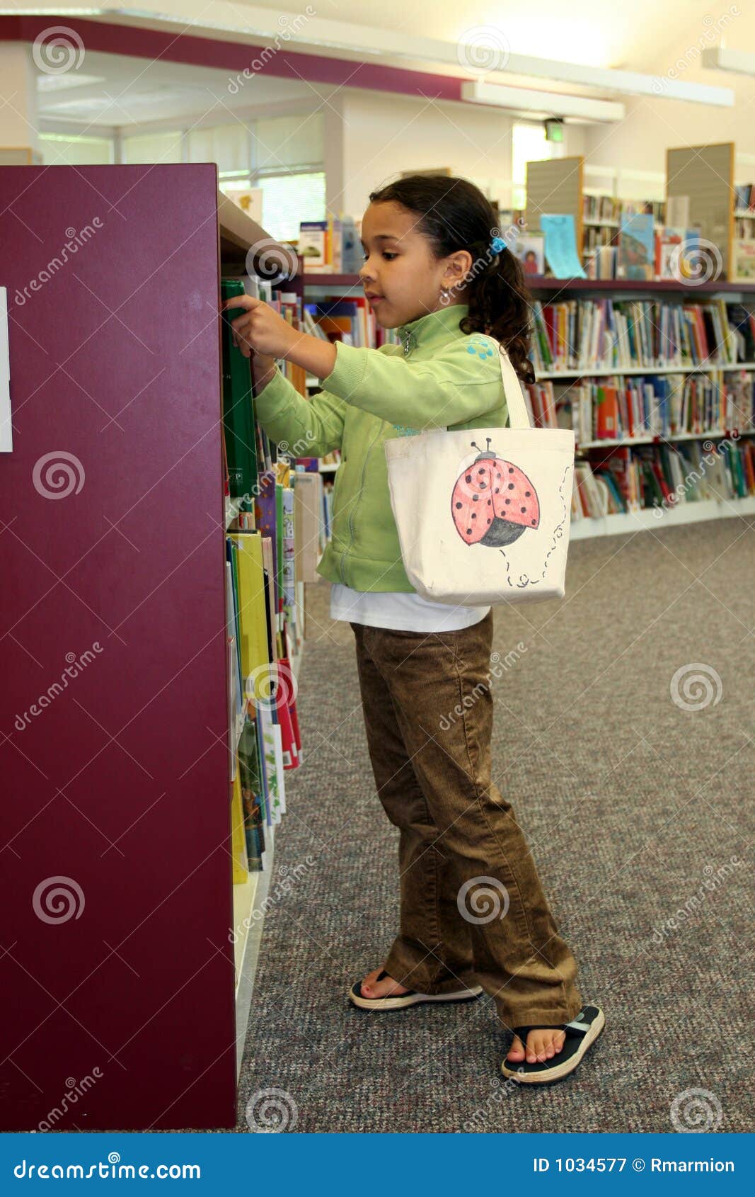 Child in Library stock image. Image of homeschool, elementary - 1034577