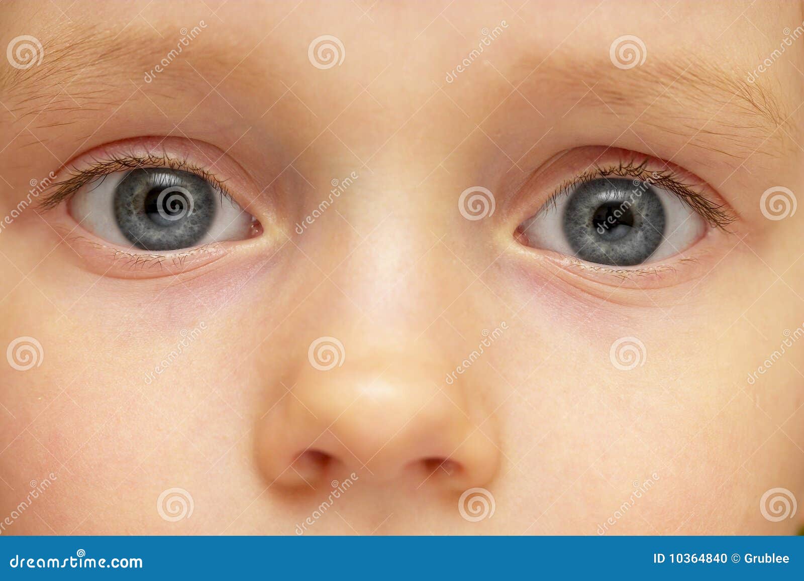 Child look stock photo. Image of child, childhood, close - 10364840