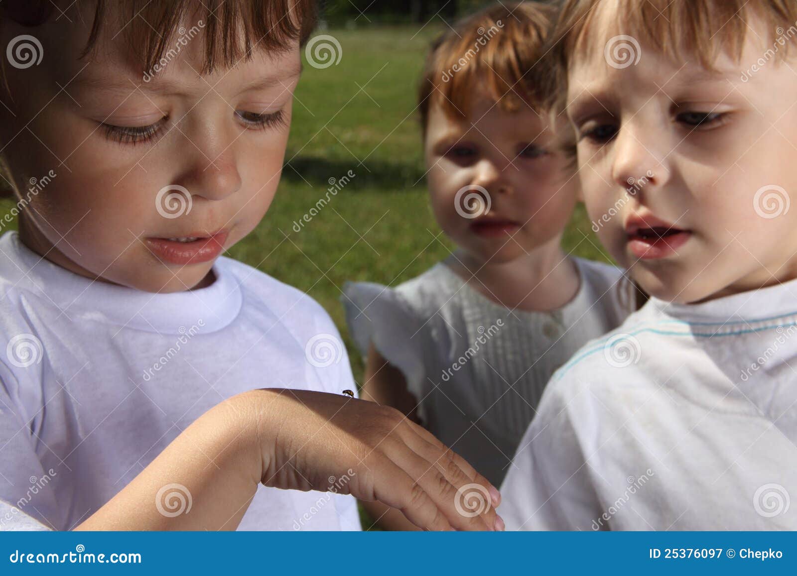 Child look ladybug stock image. Image of childhood, object - 25376097