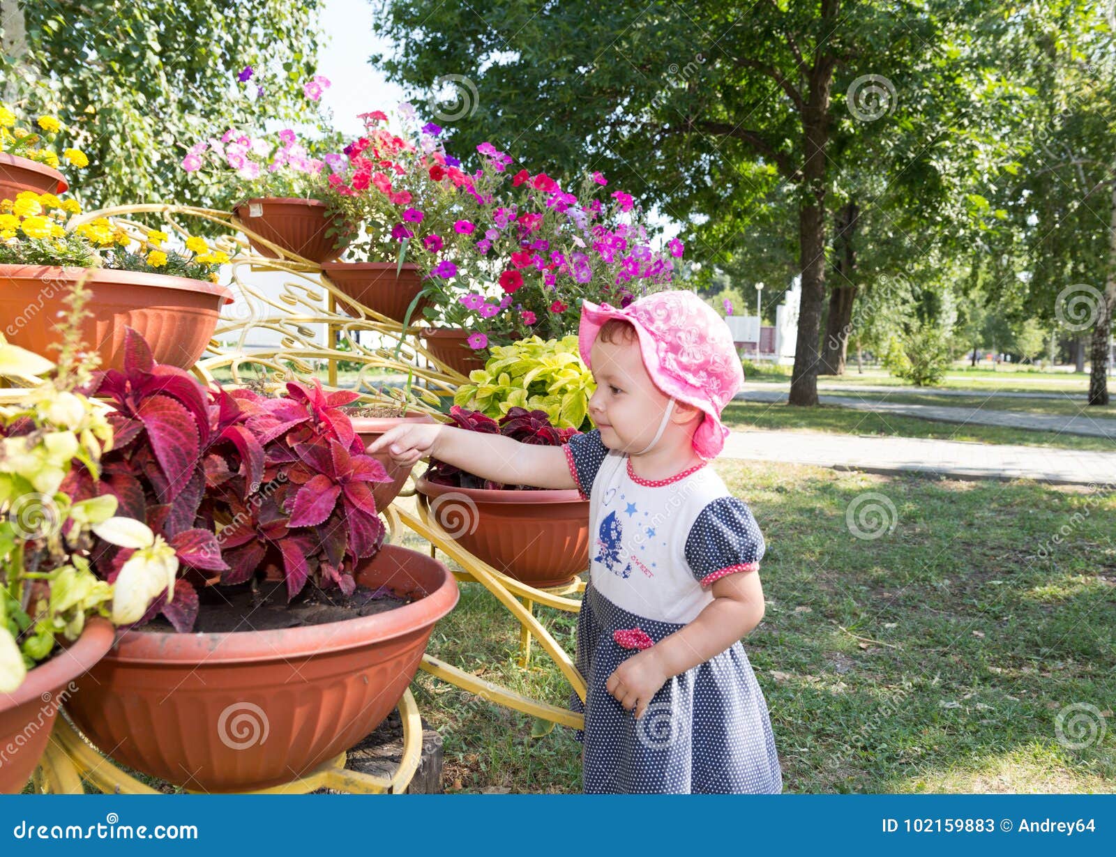 The Child is Looking at Flowers Stock Image - Image of flower, green ...