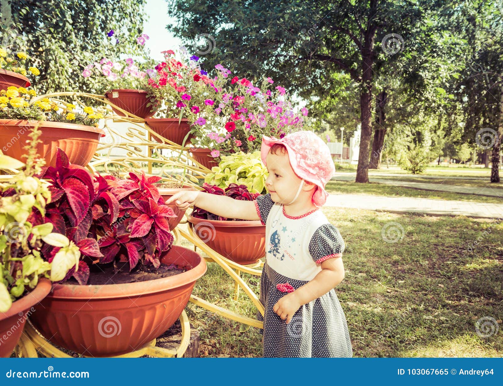 The Child is Looking at Flowers Stock Image - Image of garden, hunt ...