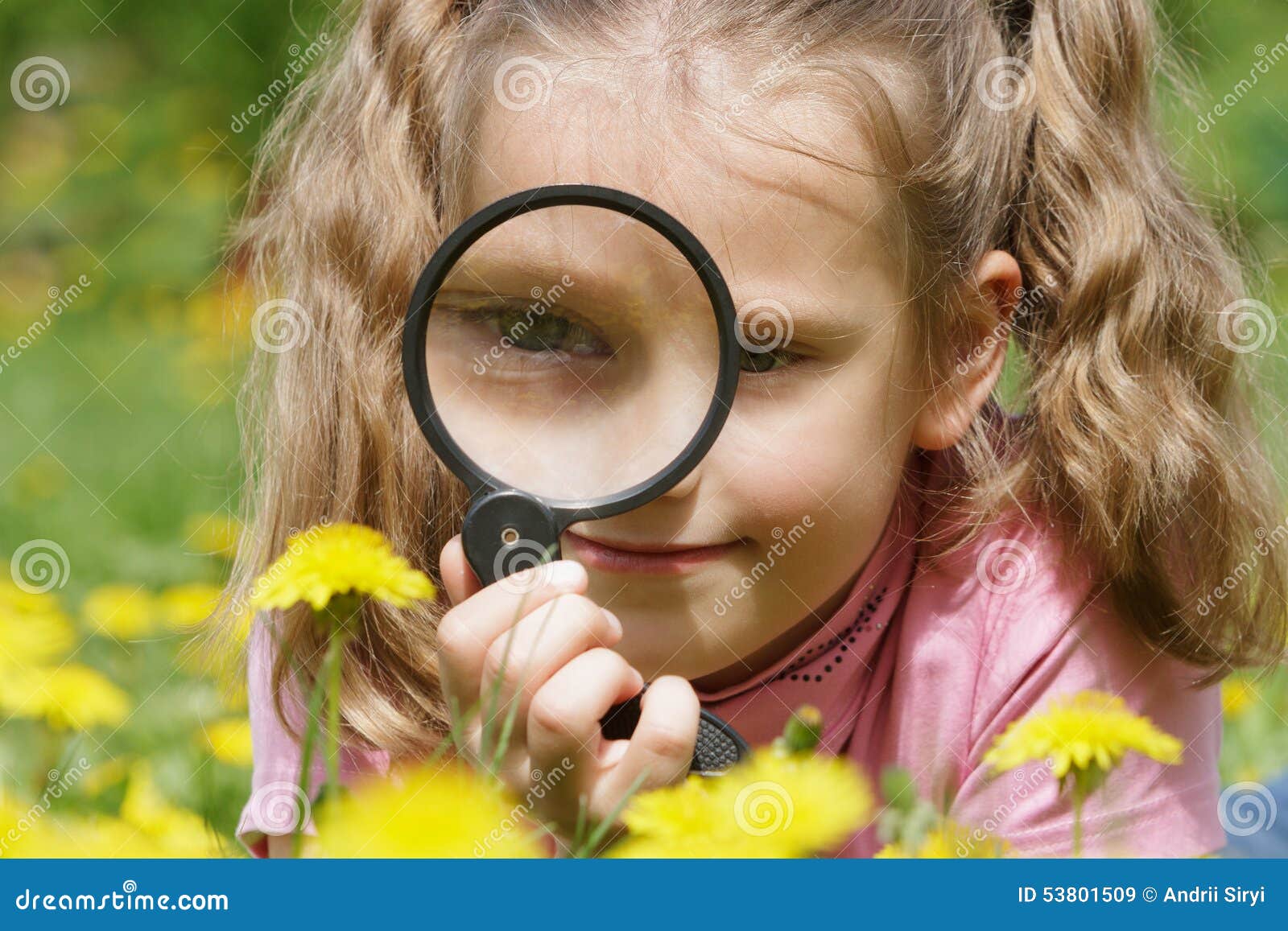 Child Looking through a Magnifying Glass on Dandelions Stock Image ...