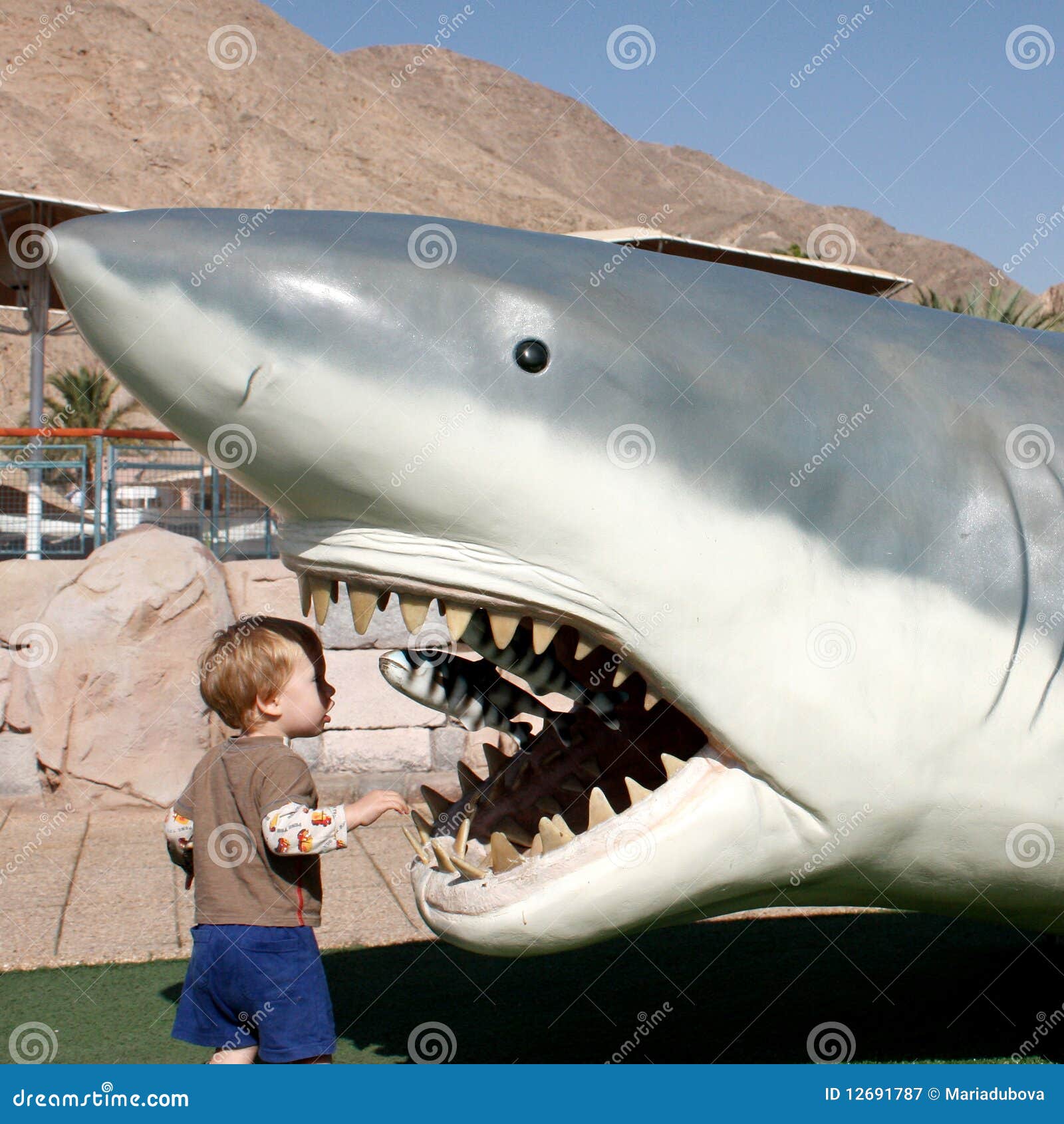 Child Looks into the Jaws of Shark Stock Image - Image of playground ...