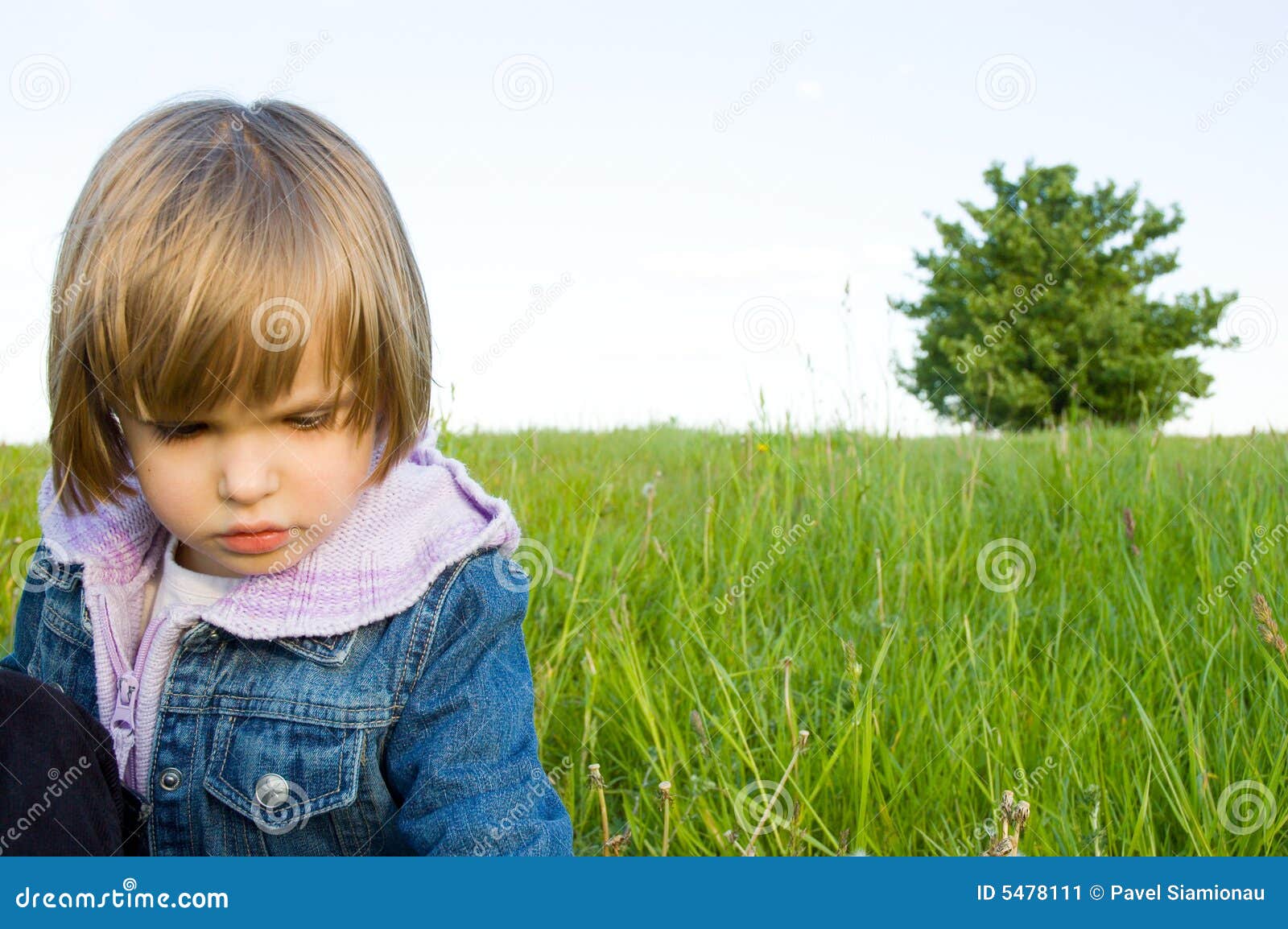 Child in the meadow stock image. Image of enjoyment, childhood - 5478111