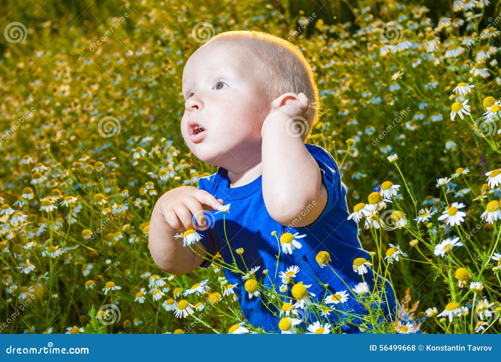 Child in a meadow stock photo. Image of ethnicity, grass - 56499668