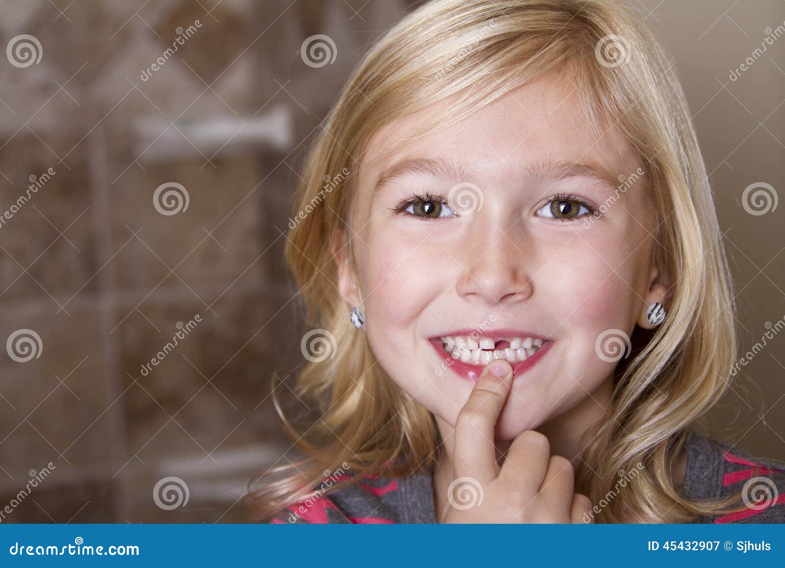 The Front Tooth Of A Bear On A Block Of Stone. Incisor Tooth Of A Large ...