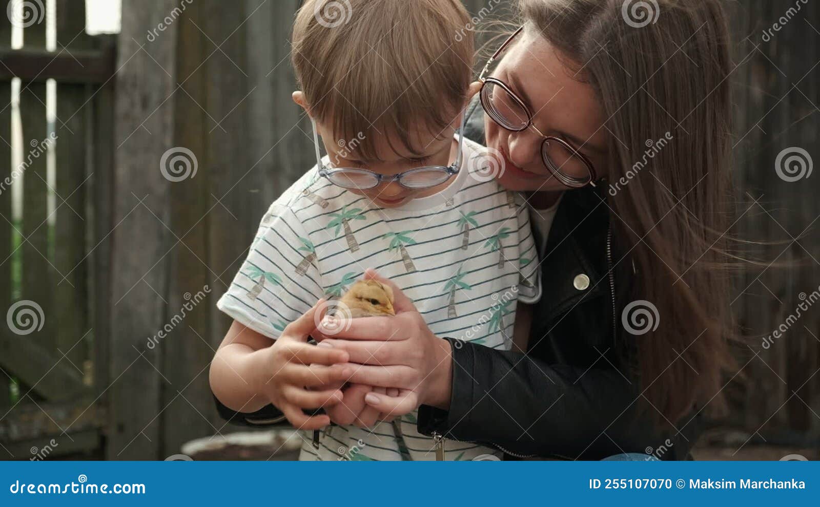 Child and Mother Holding a Chick in Hand in Backyard of Farm Stock ...