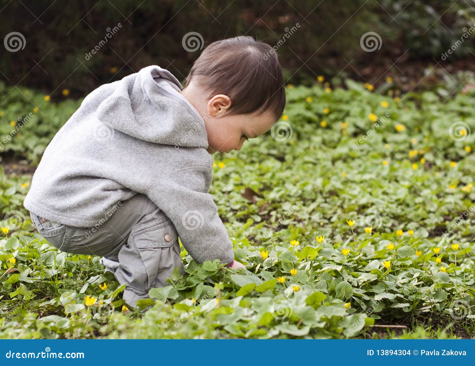 Child in nature stock photo. Image of field, crouching - 13894304