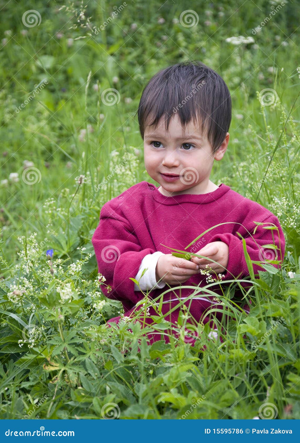 Child in nature stock photo. Image of happy, long, interested - 15595786