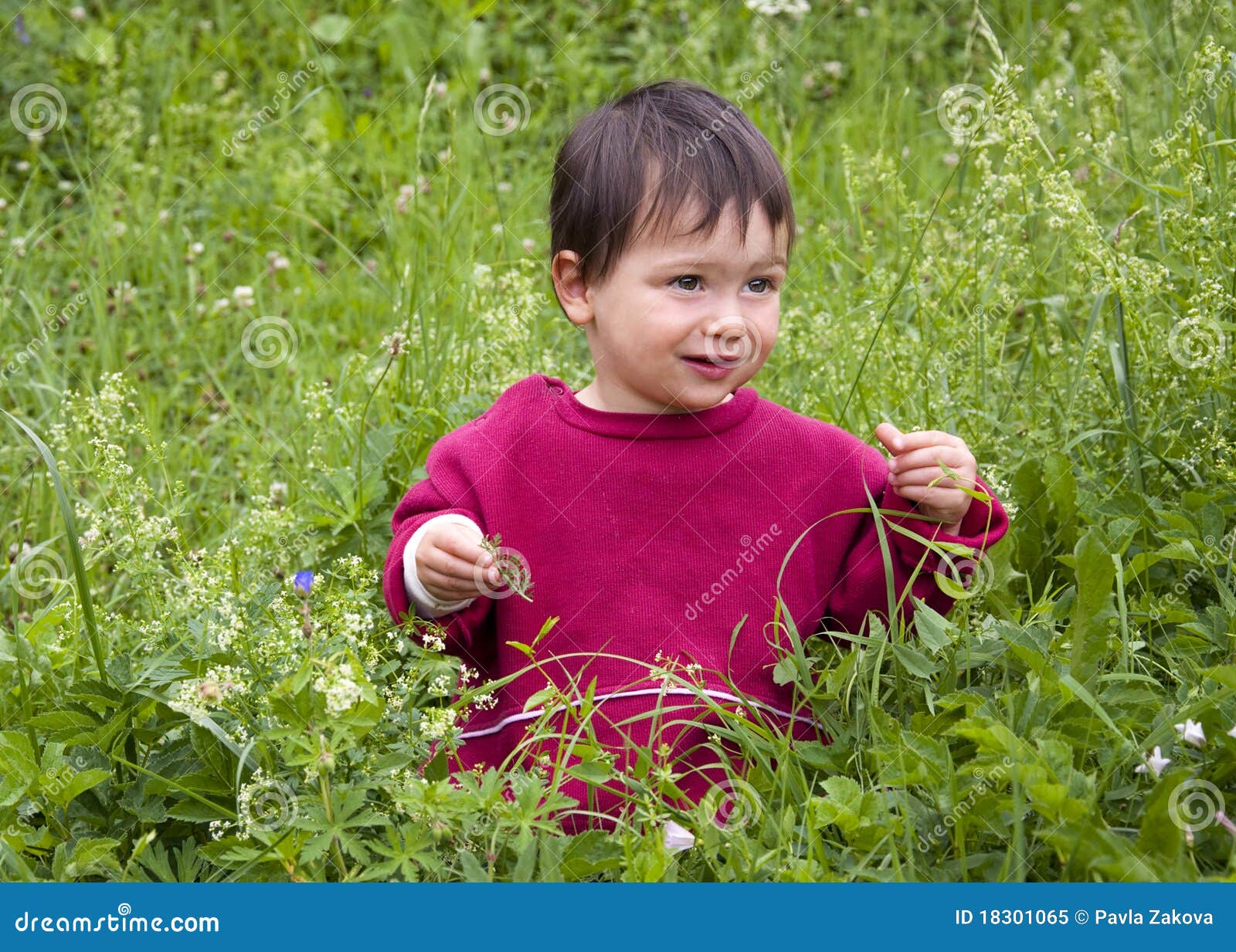 Child in nature stock image. Image of face, caucasian - 18301065