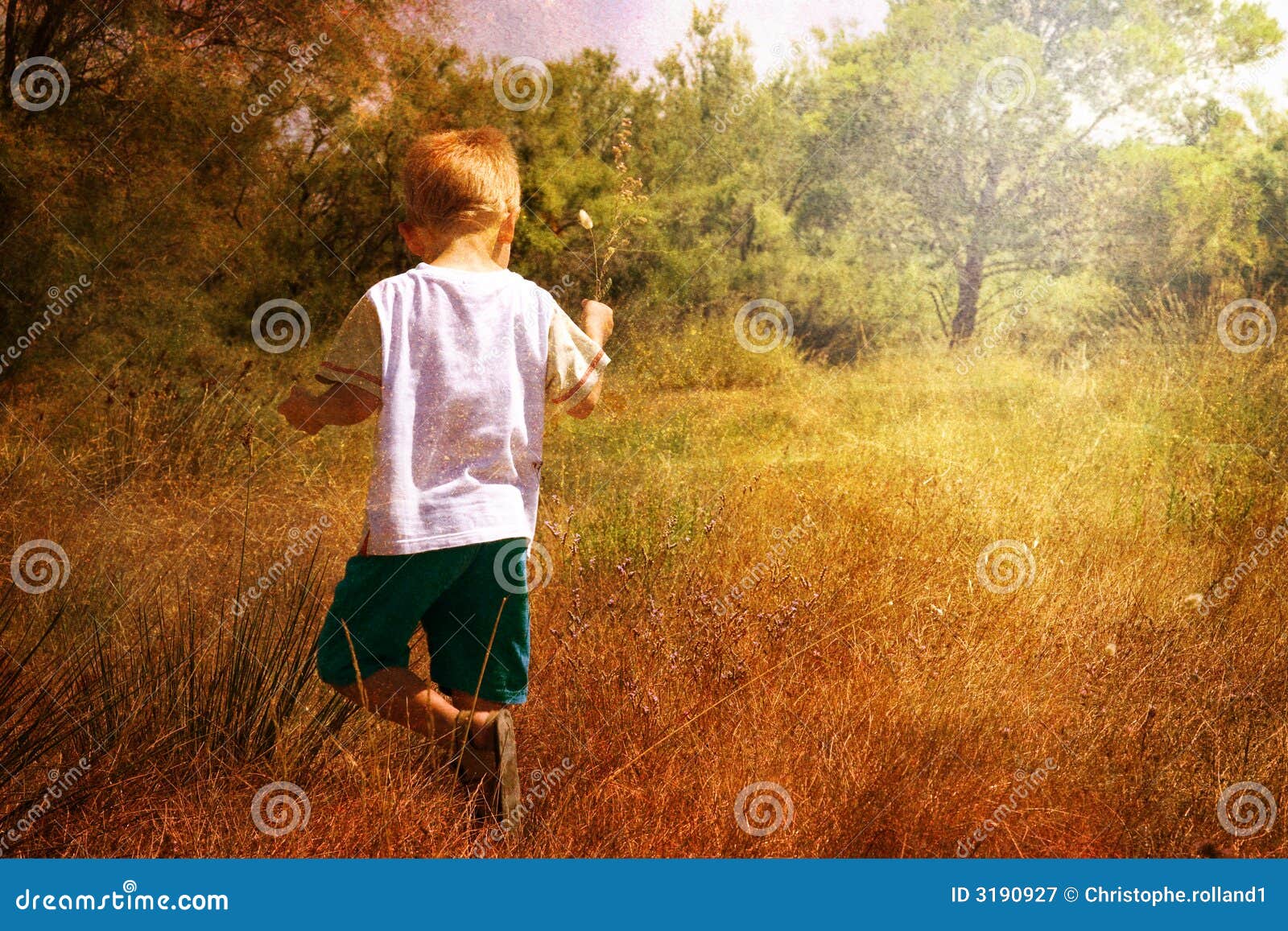 Child in nature stock image. Image of burst, texture, ragged - 3190927