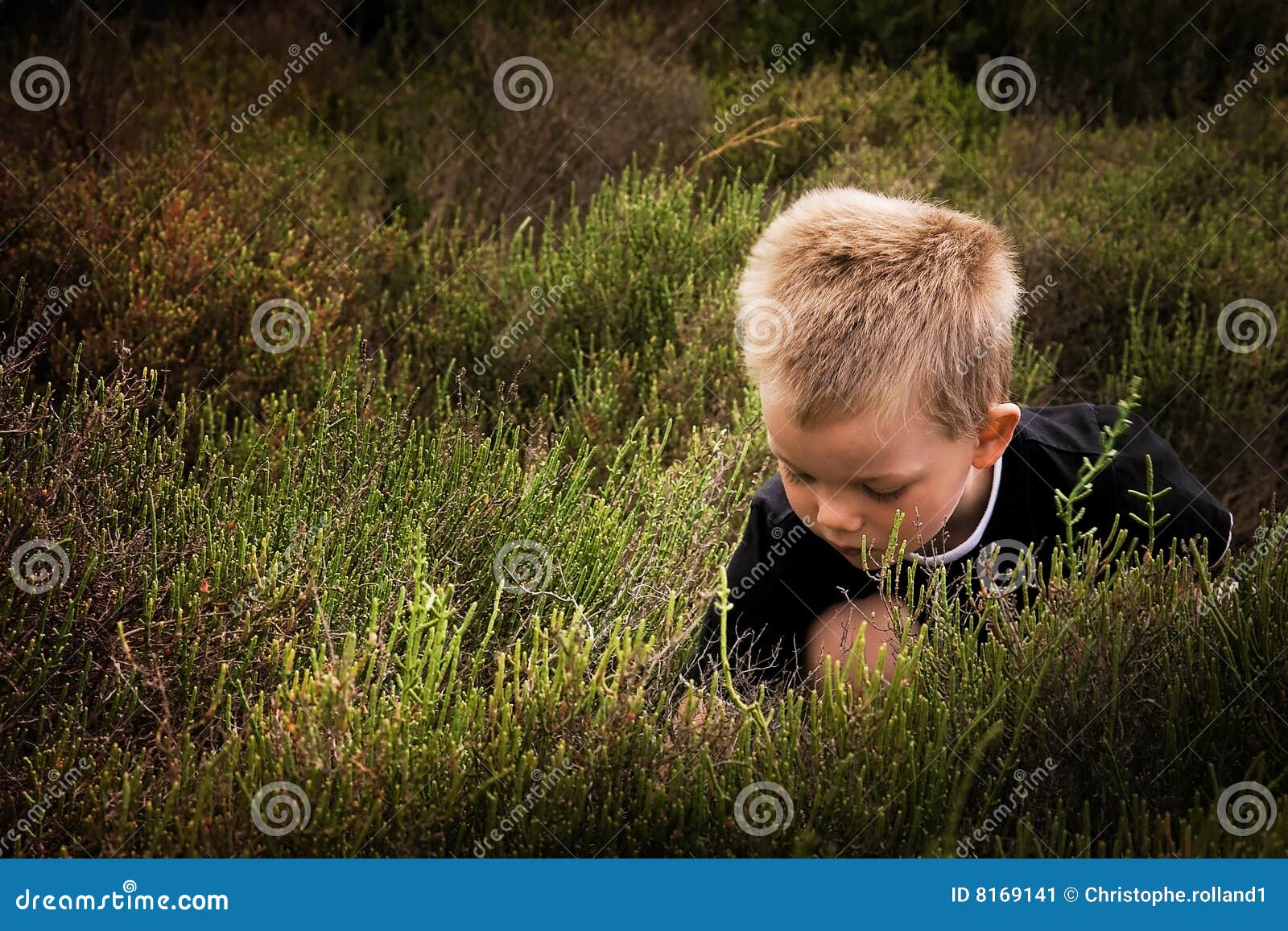 Child in nature stock image. Image of color, ecologist - 8169141