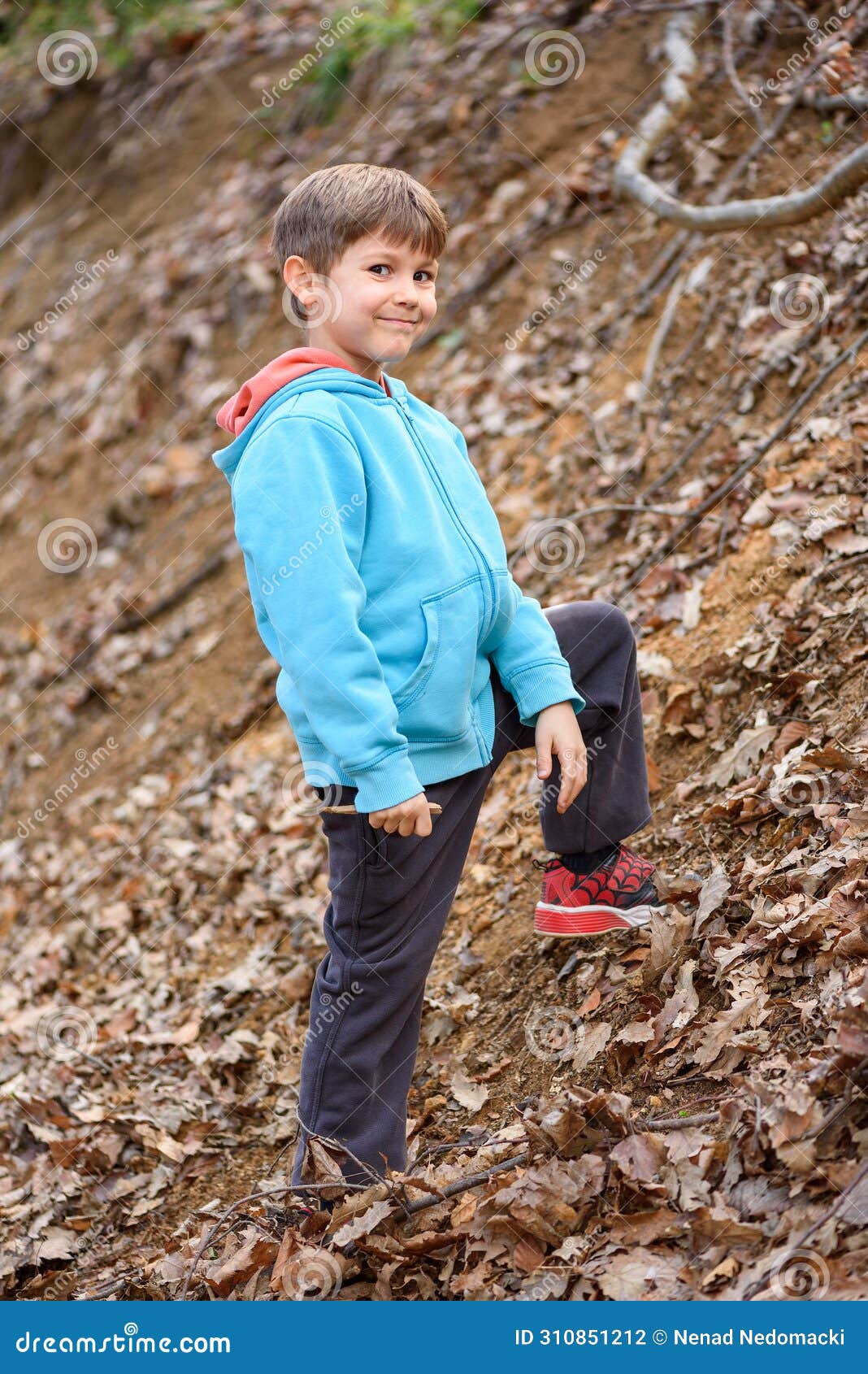 Child and Nature. a Beautiful Boy in the Forest. Stock Photo - Image of ...