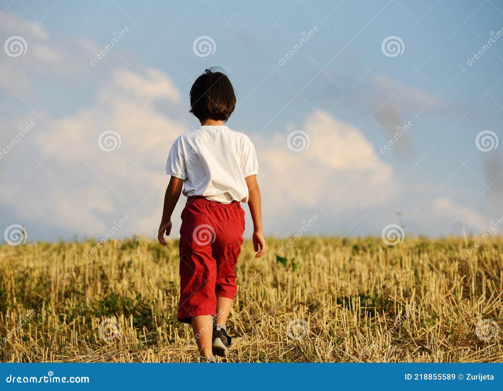 Child in nature stock image. Image of golden, nature - 218855589