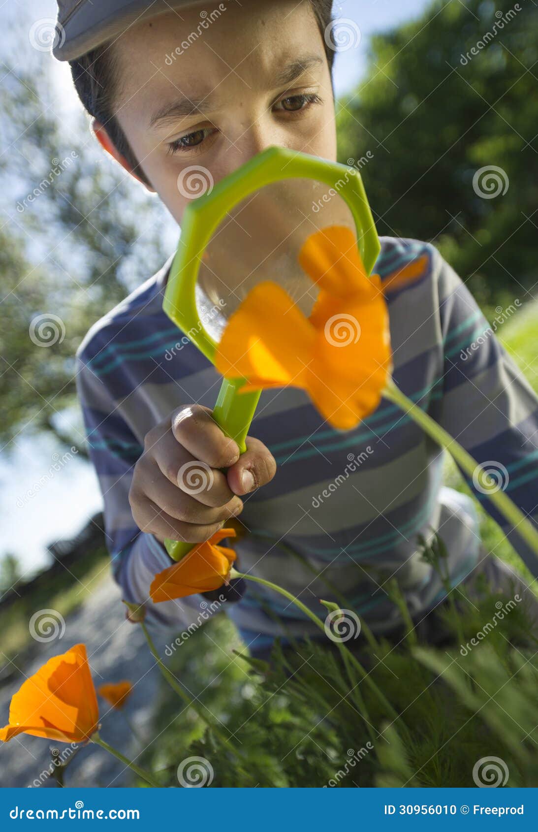 Child Observing Nature with a Magnifying Glass Stock Photo - Image of ...
