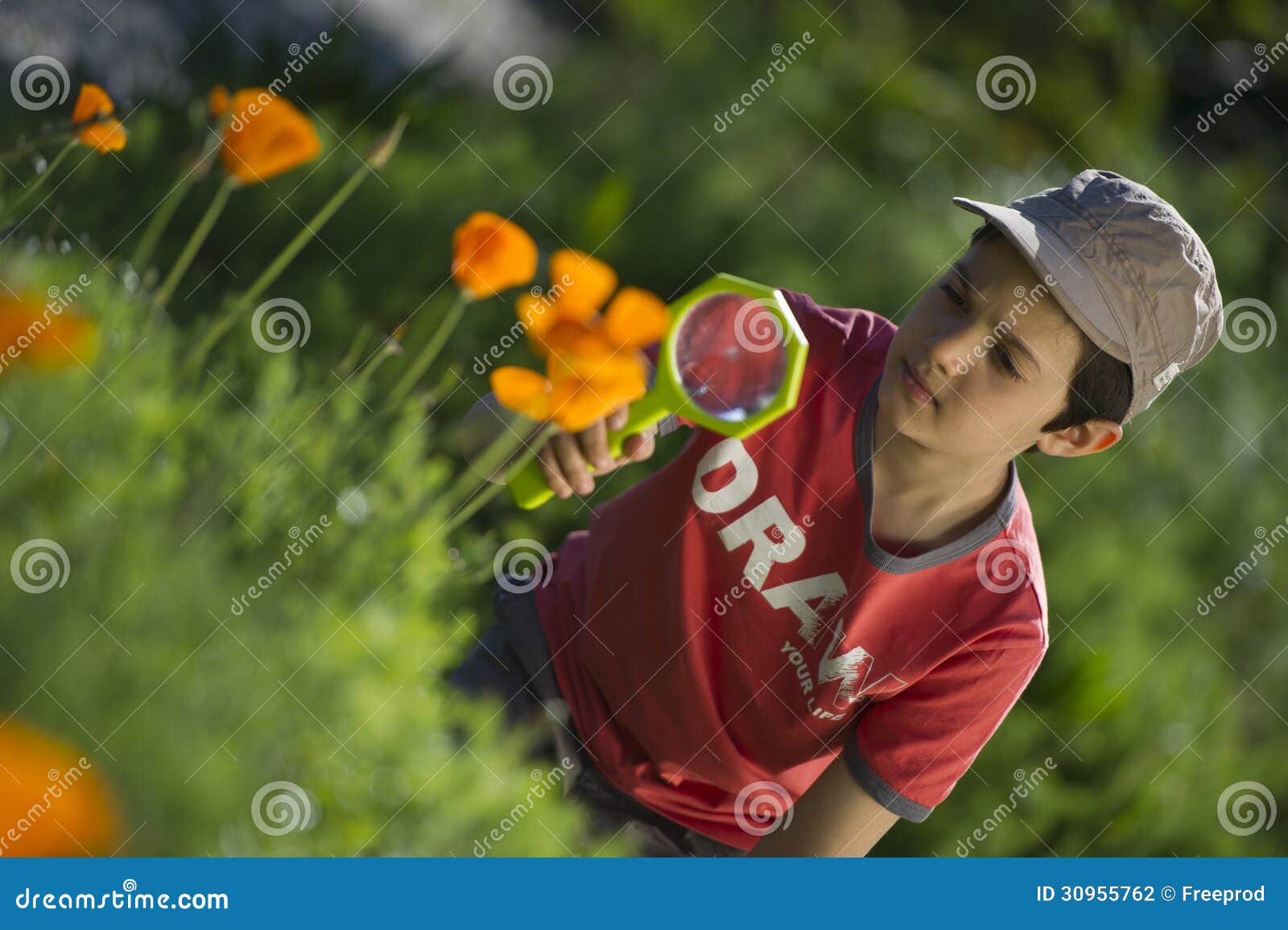 Child Observing Nature with a Magnifying Glass Stock Photo - Image of ...