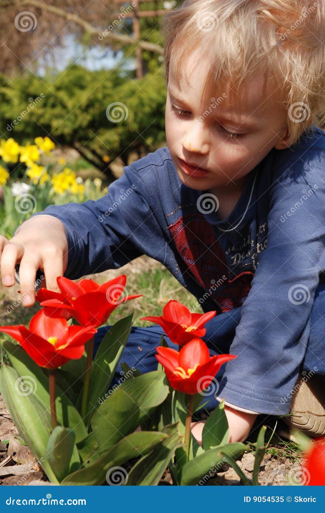 Child Observing Nature With A Magnifying Glass Royalty-Free Stock ...