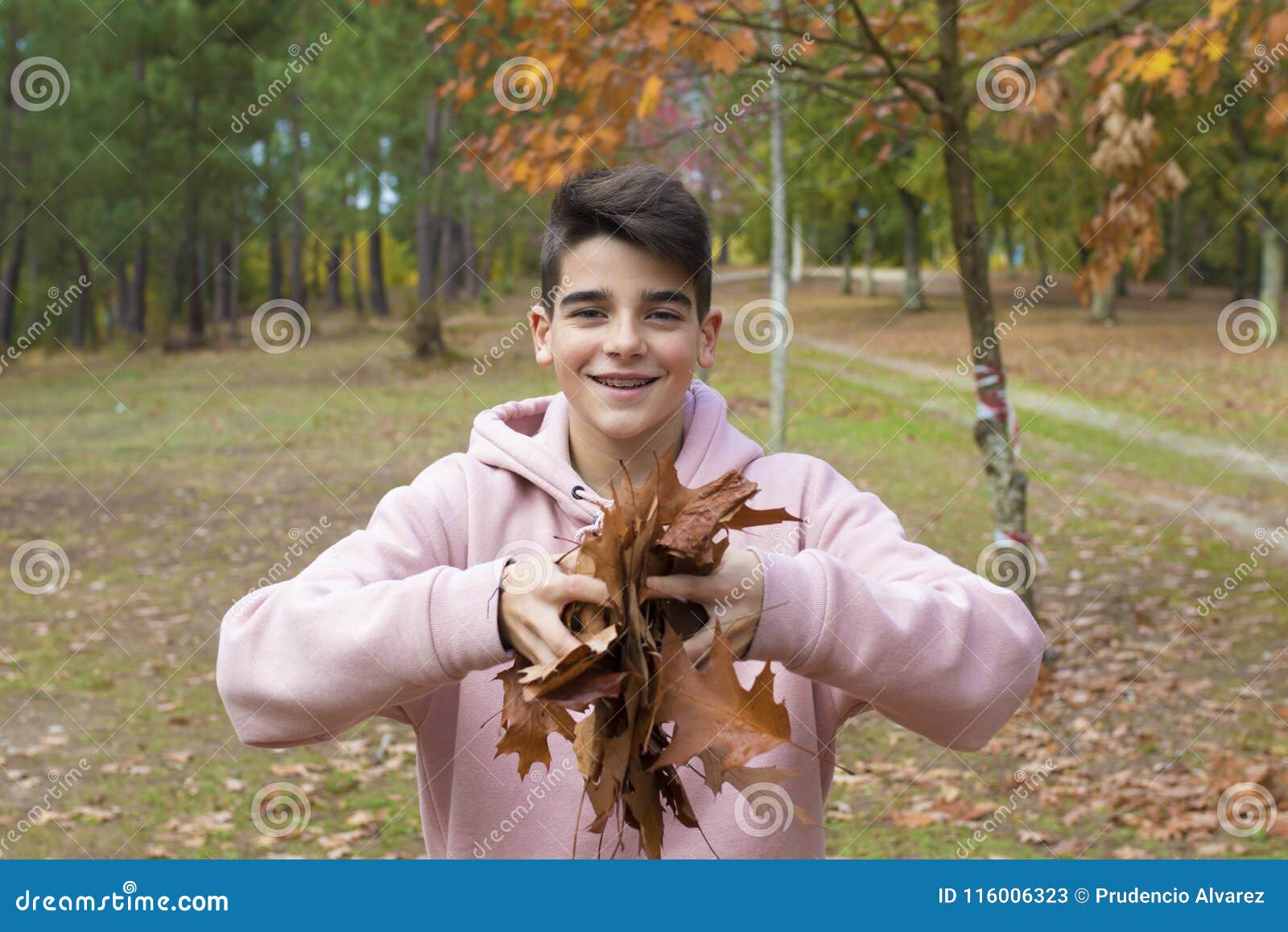 Open air fall stock image. Image of autumn, branch, fall - 116006323
