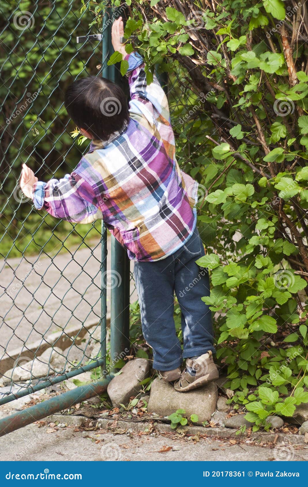 Child opening gate stock image. Image of check, safety - 20178361