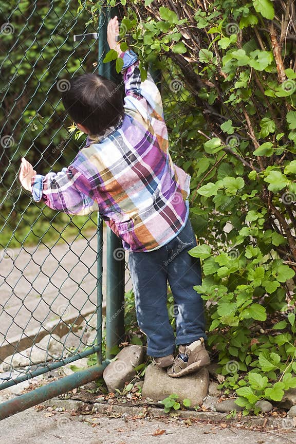 Child opening gate stock image. Image of check, safety - 20178361