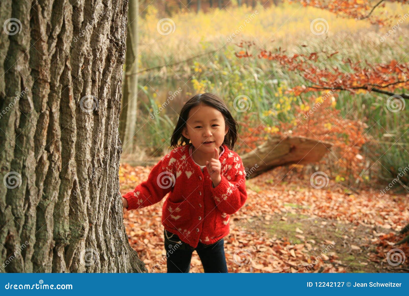 Child outdoor in forest stock image. Image of young, chinese - 12242127