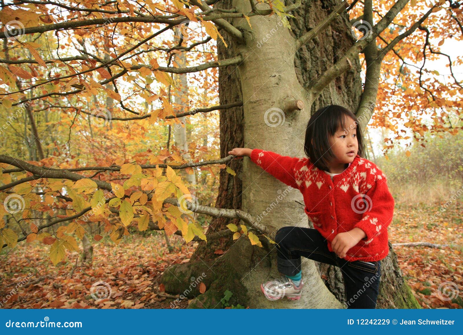 Child outdoor in forest stock image. Image of child, young - 12242229